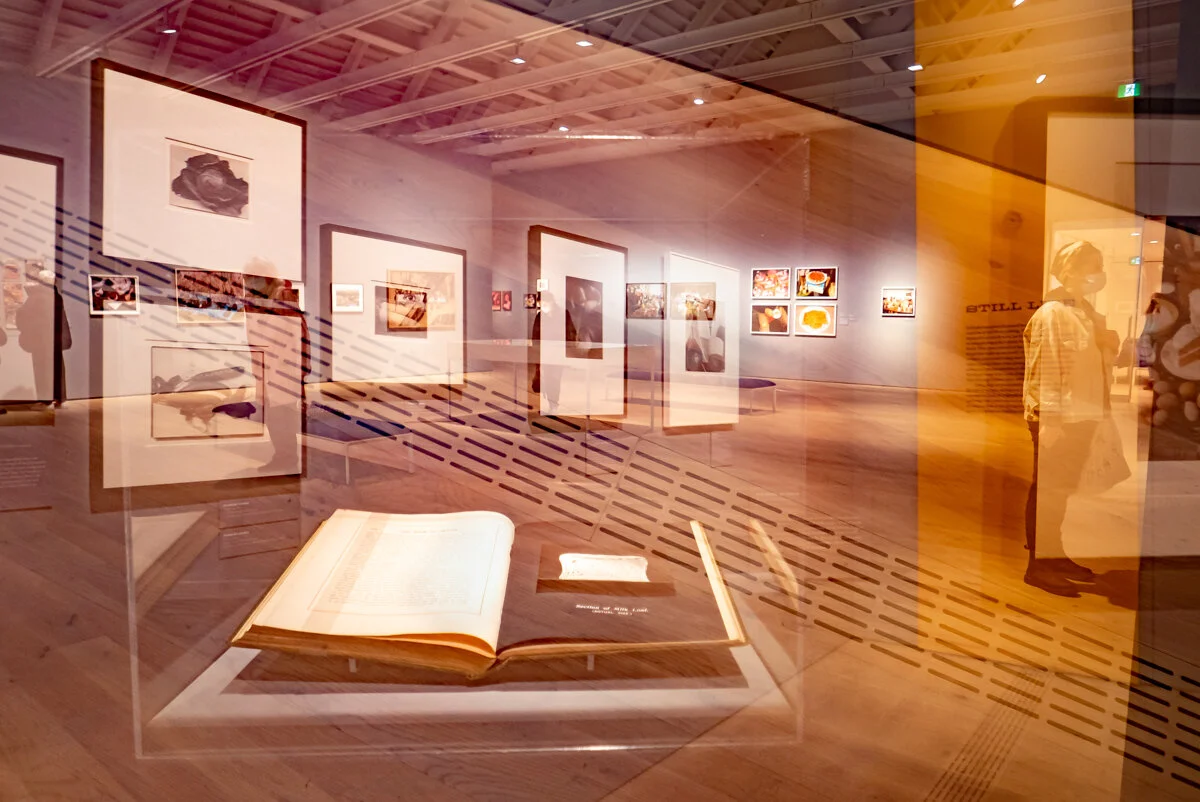 Polygon Gallery — John Brandrick