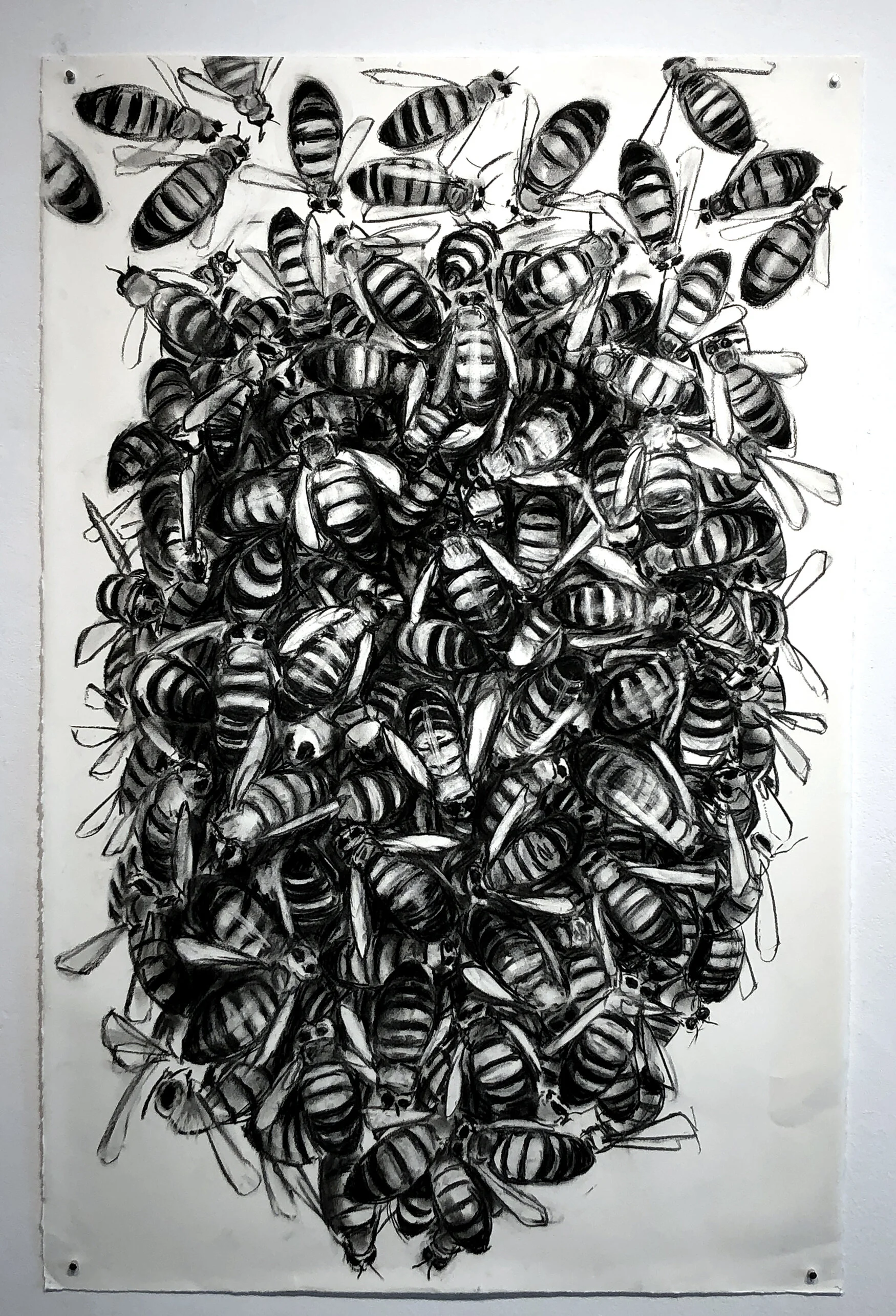 Animal — Marit Berg