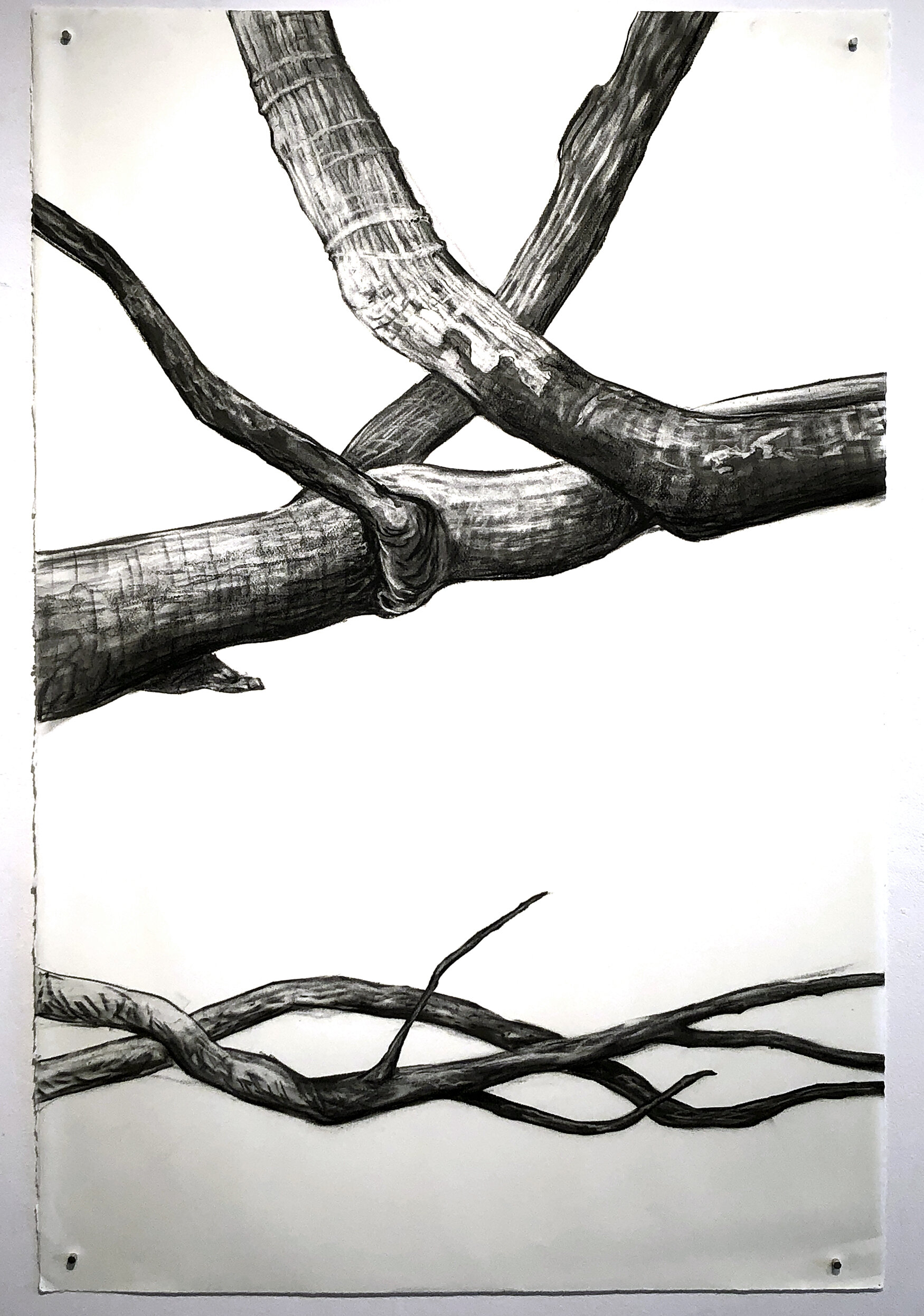 Animal — Marit Berg