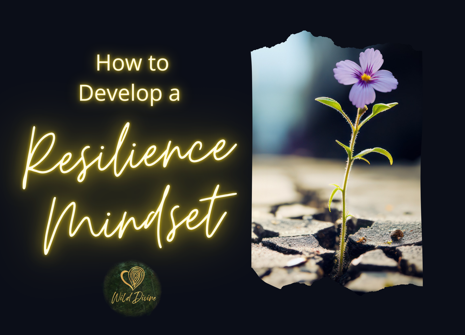 How to Develop a Resilience Mindset — Wild Divine Retreat Center