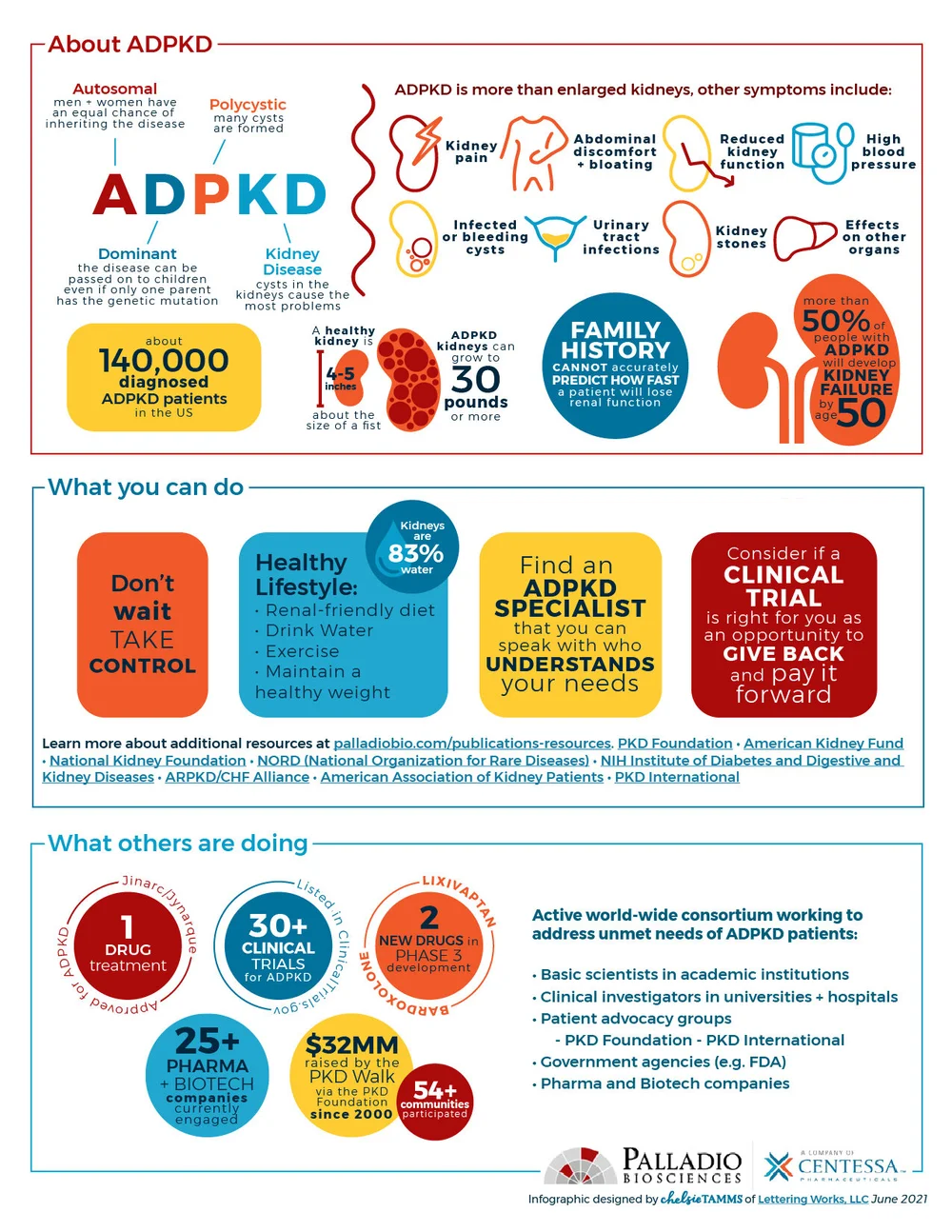 PKD Connect - ADPKD Infographic — Lettering Works