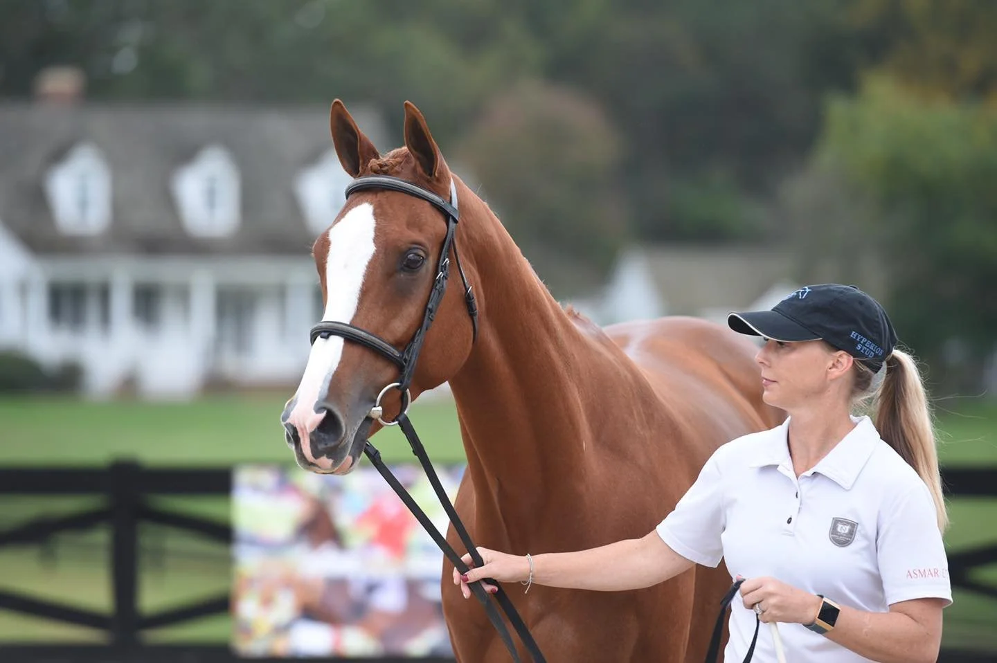English horse riding lessons, English horse riding techniques, English ...