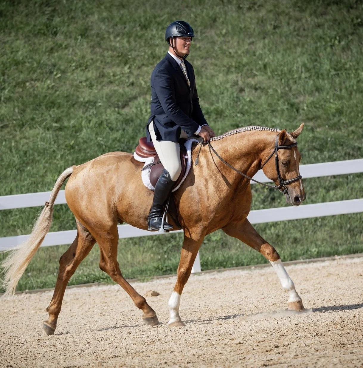 Successful breeding show hunter, Young Horse Breeding Championship ...