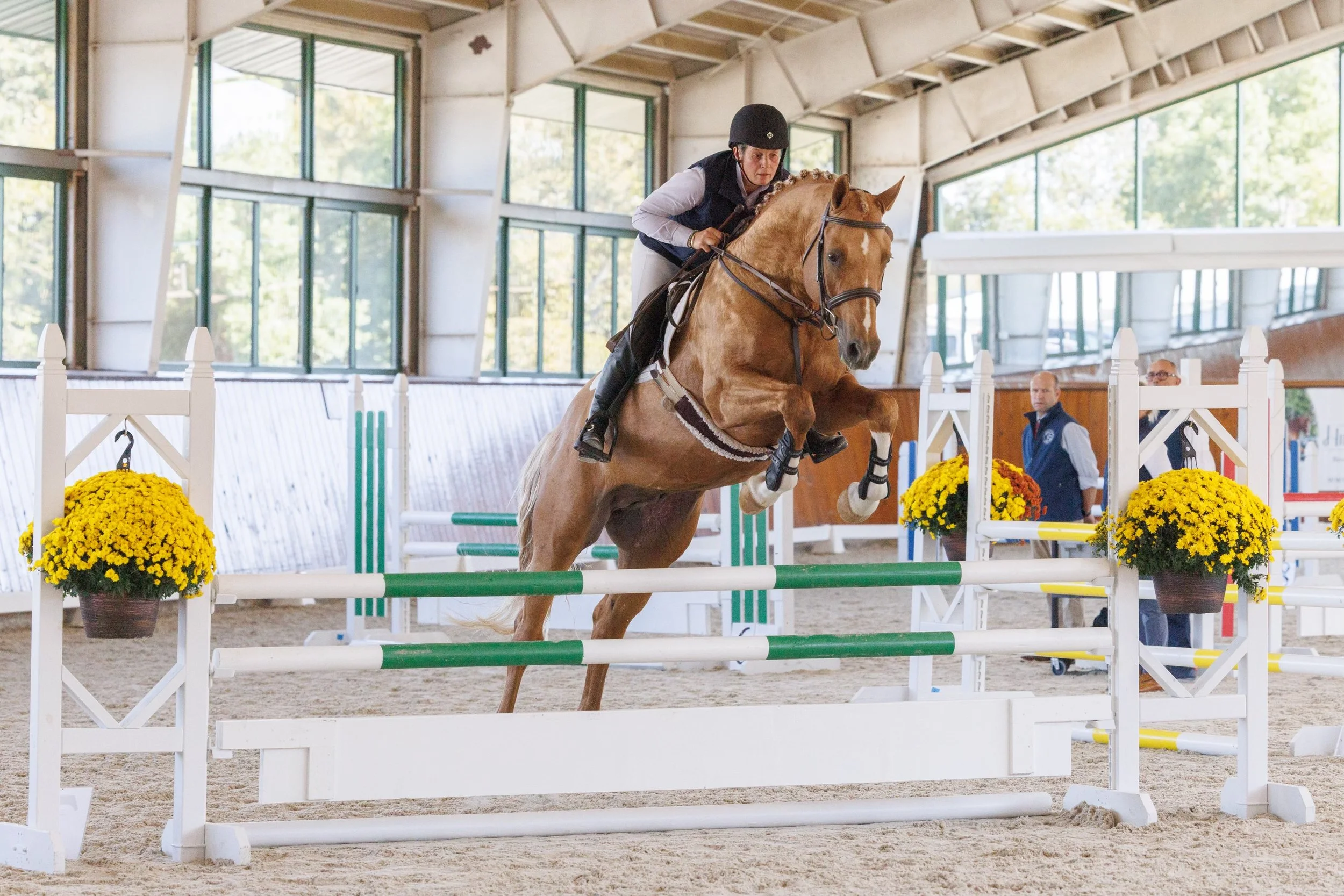 Successful breeding show hunter, Young Horse Breeding Championship ...