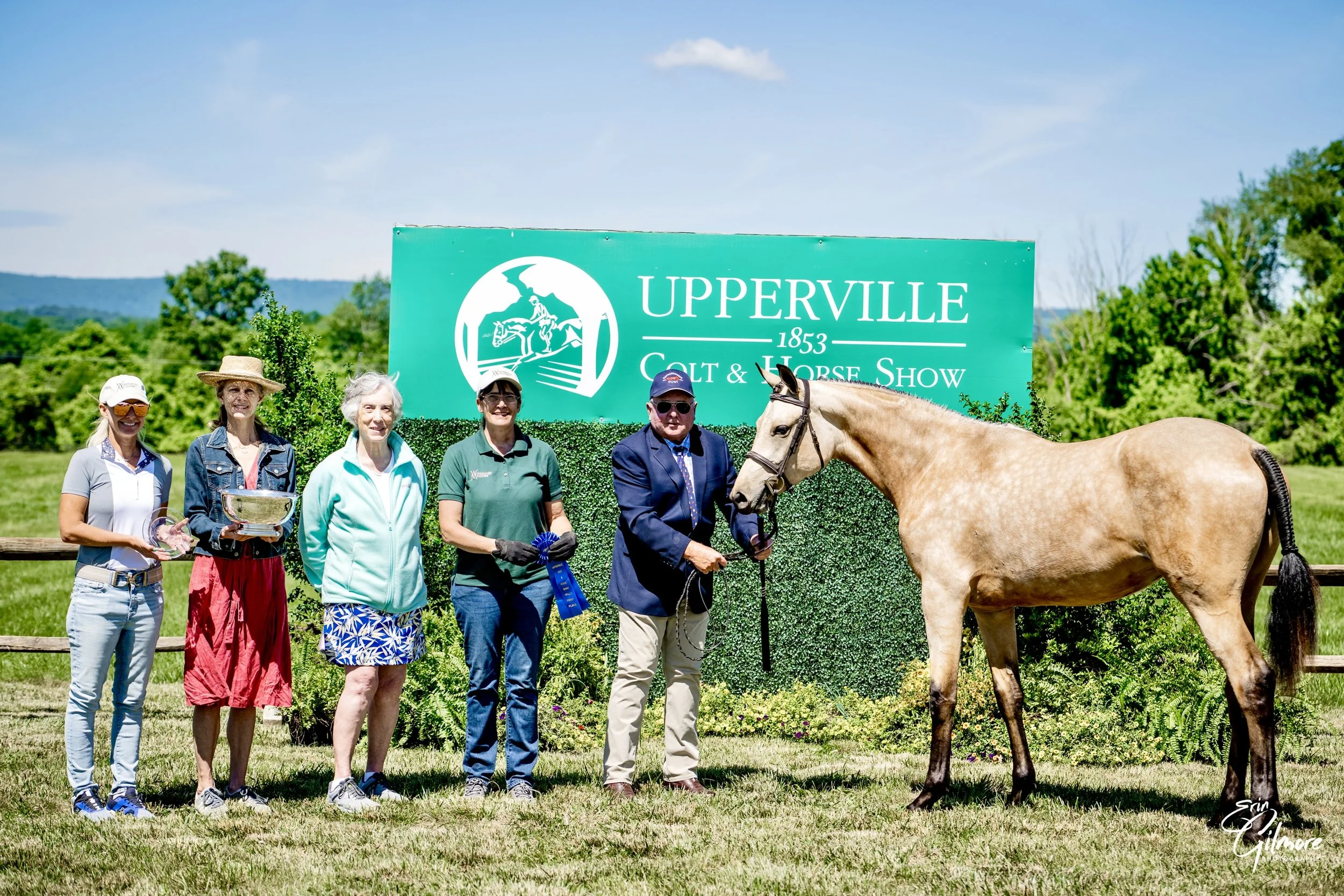 Successful breeding show hunter, Young Horse Breeding Championship ...