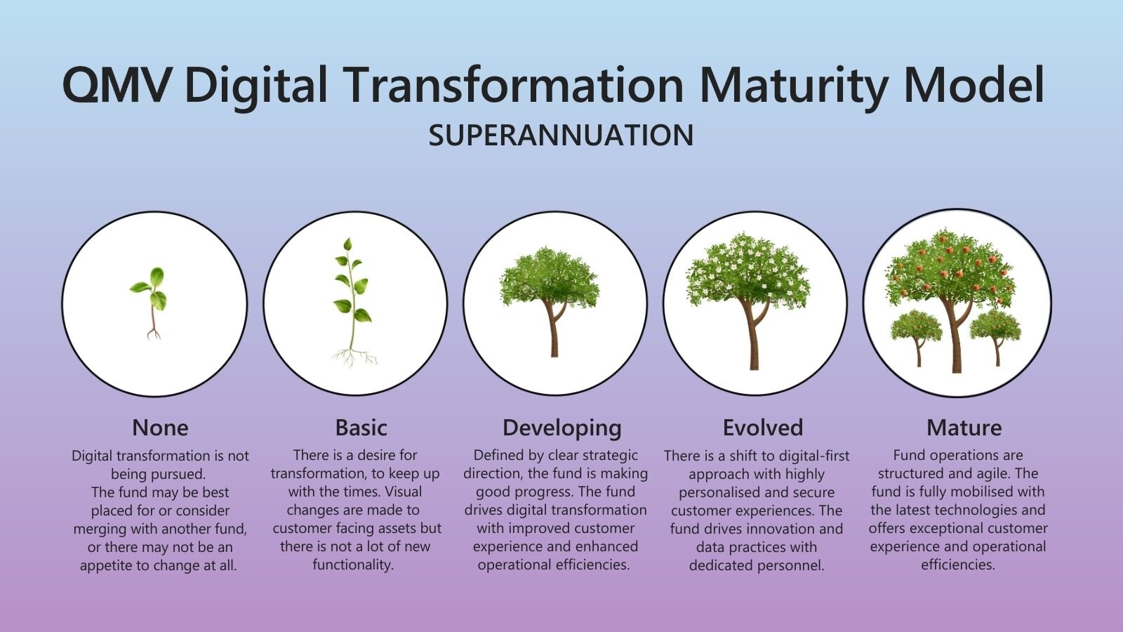 Digital Transformation Maturity Model Superannuation — QMV - Advisory ... Digital Transformation Maturity Model Superannuation — QMV - Advisory ...