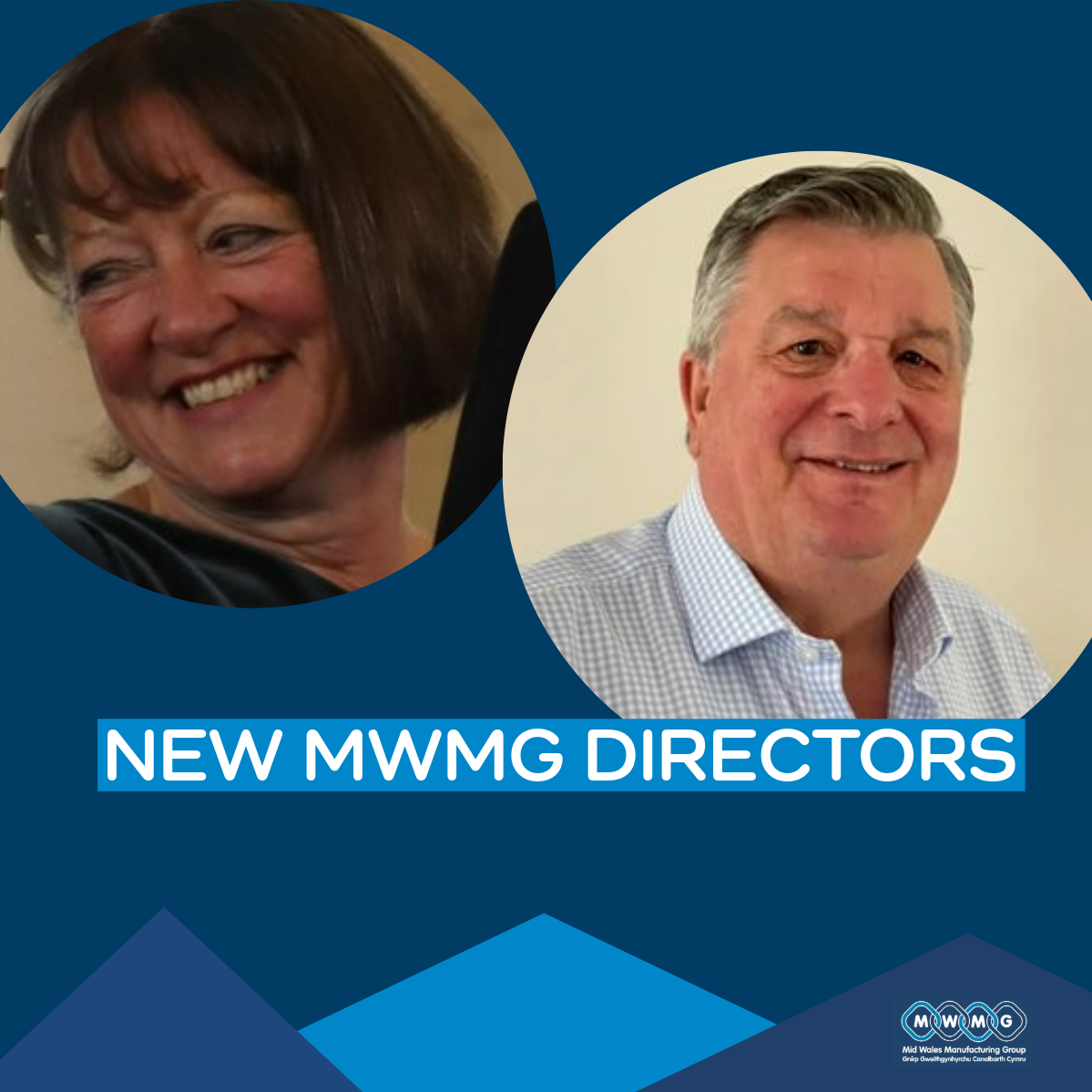 Mid Wales Manufacturing Group