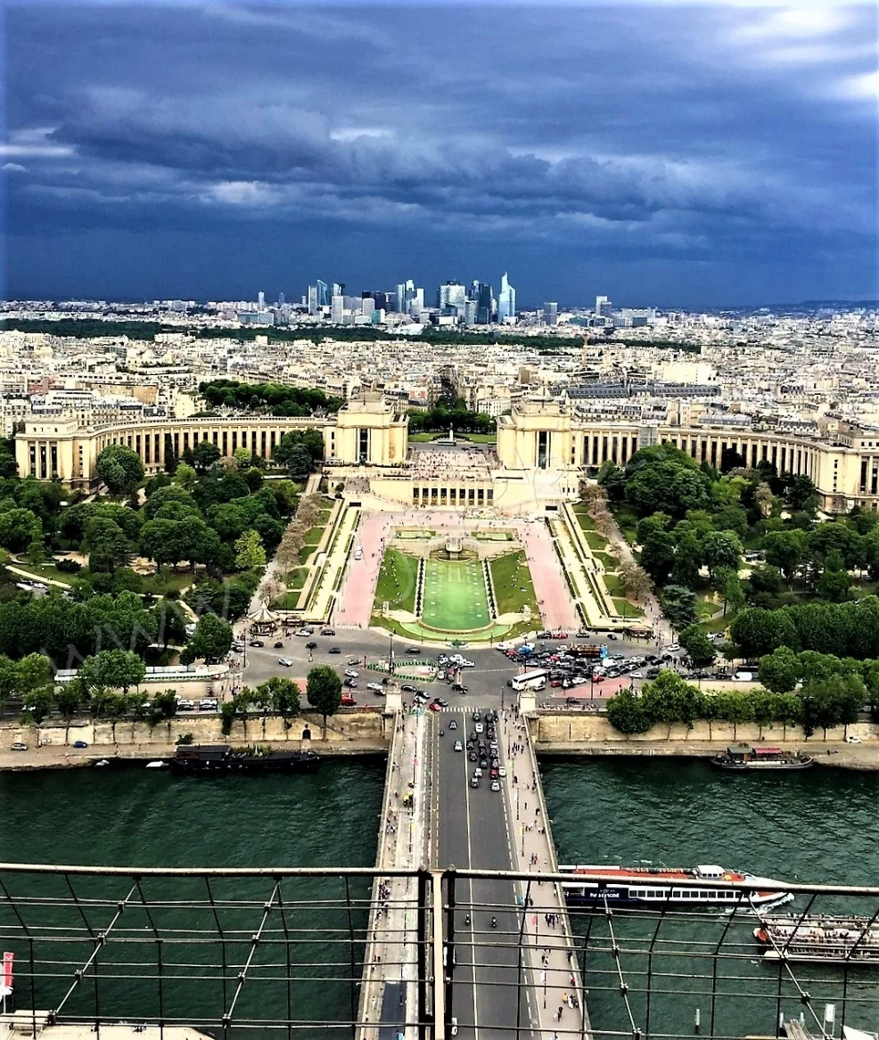 Common Sense Traveler-Common Sense Traveler