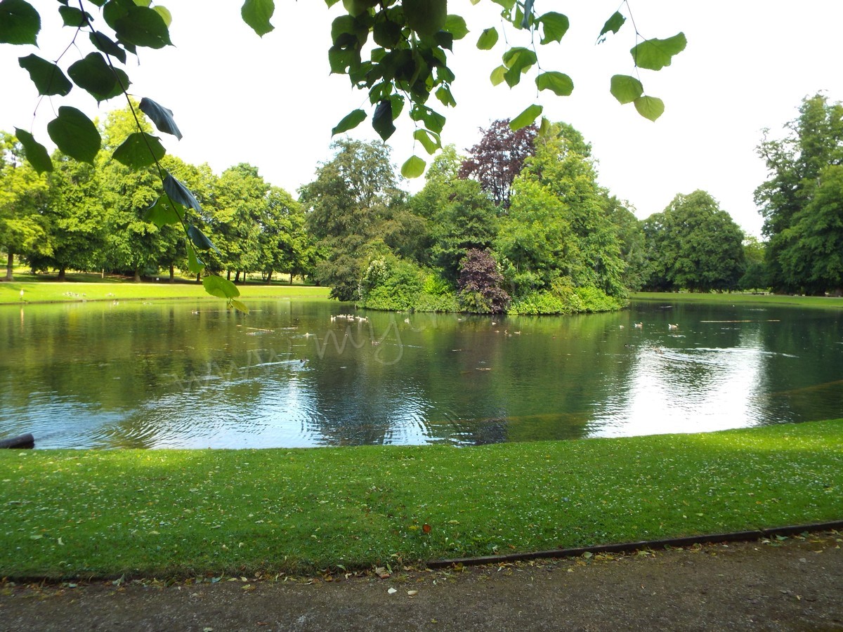 Common Sense Traveler-Common Sense Traveler