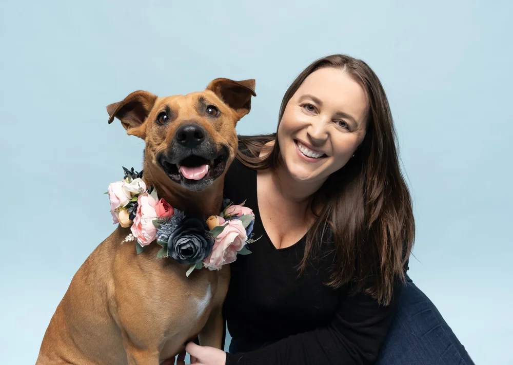 Pet Photography Portfolio | Modern Pet Portraits of DC Pets — Pooch ...
