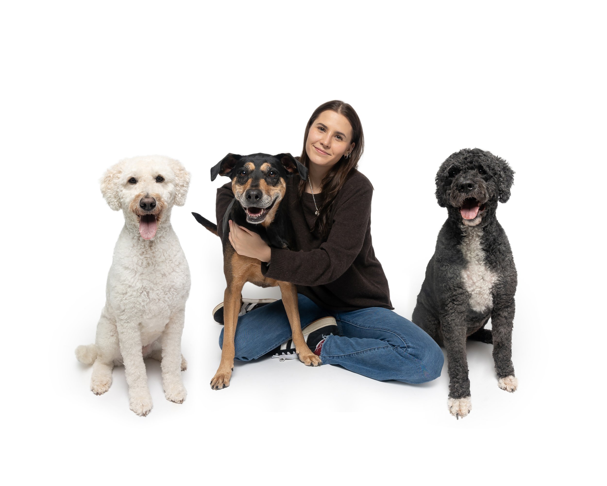 Pet Photography Portfolio | Modern Pet Portraits of DC Pets — Pooch ...