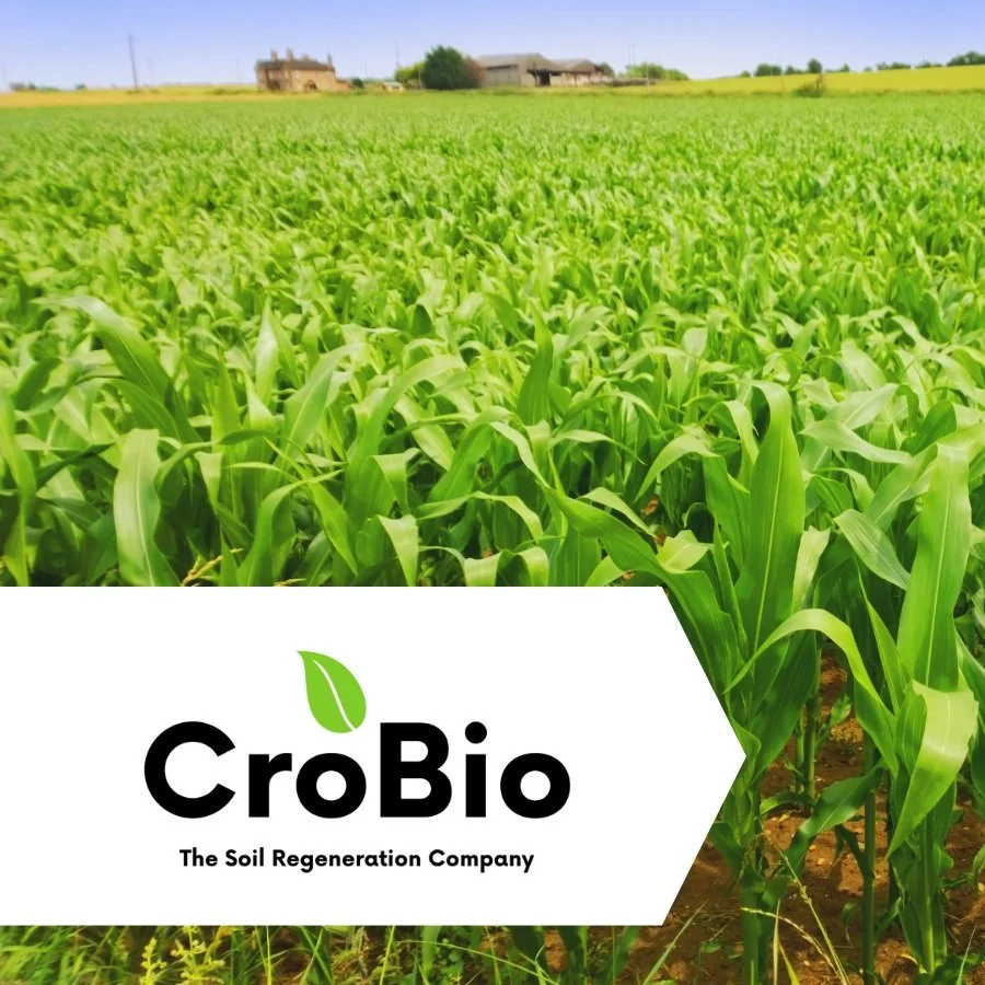 CroBio secures $1.55 million to enhance agricultural drought resilience ...