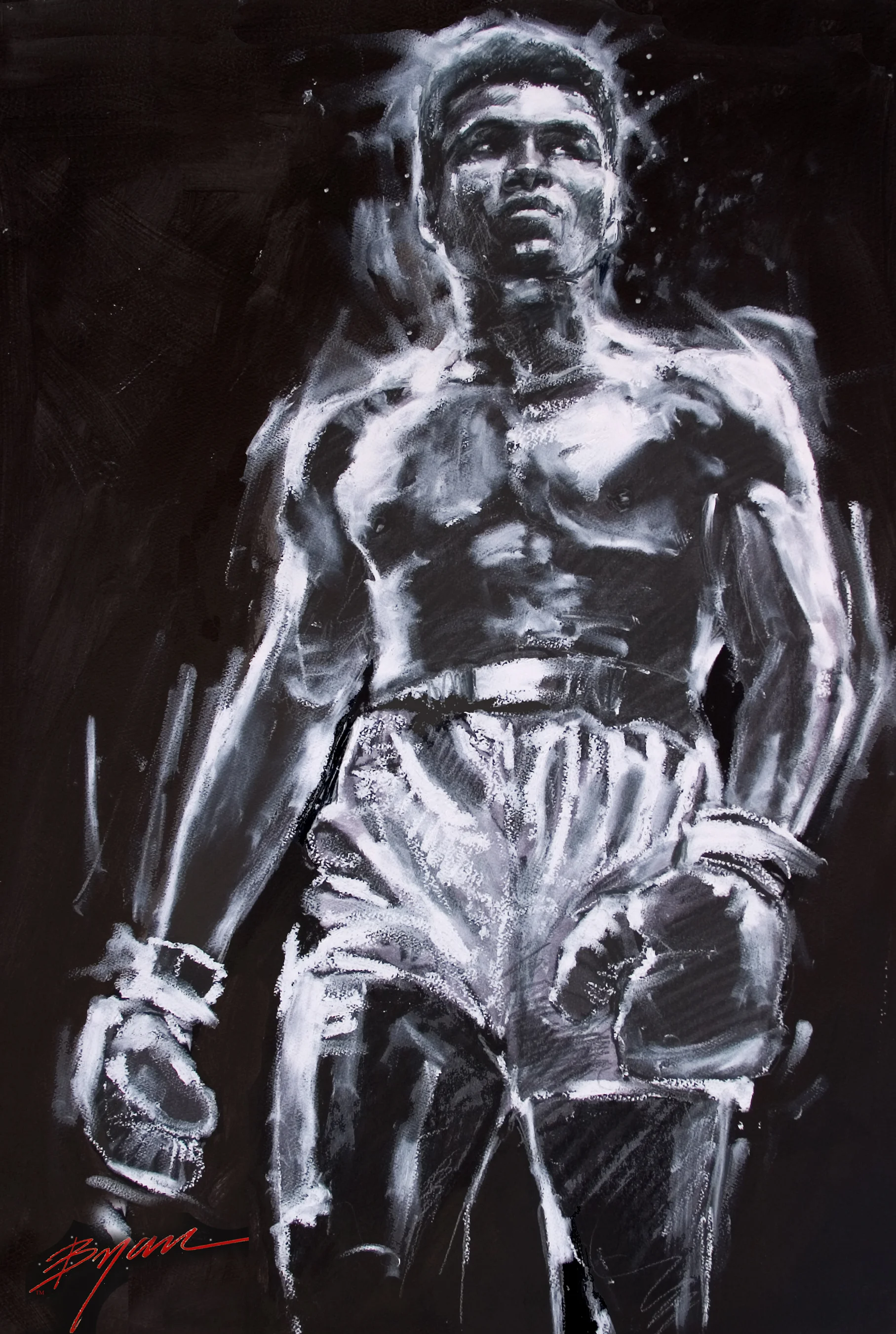 Laguna Beach, CA Artist Michael Bryan: Custom Paintings on Aluminum