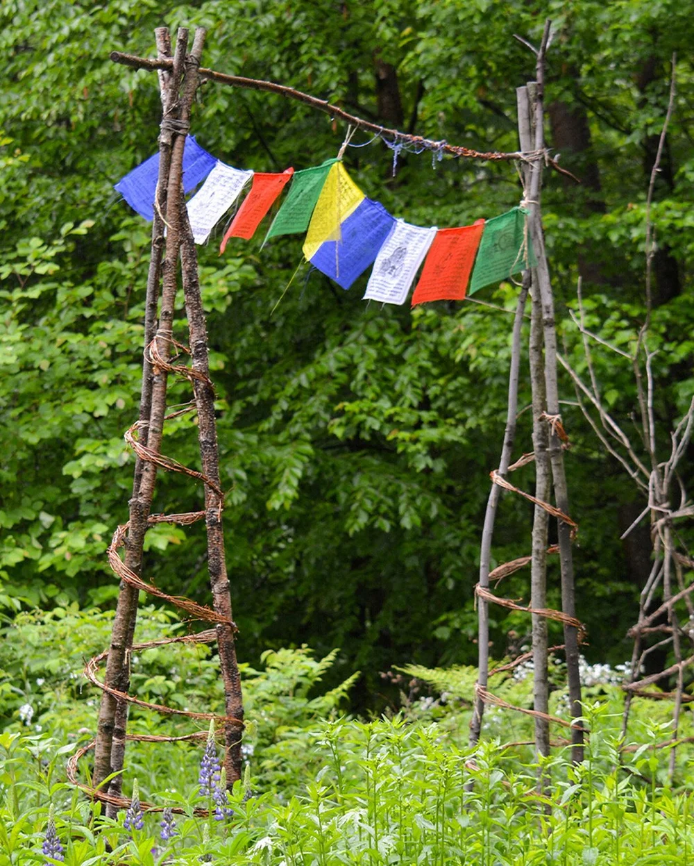 Finch + Folly — How to Build a Garden Trellis out of Branches