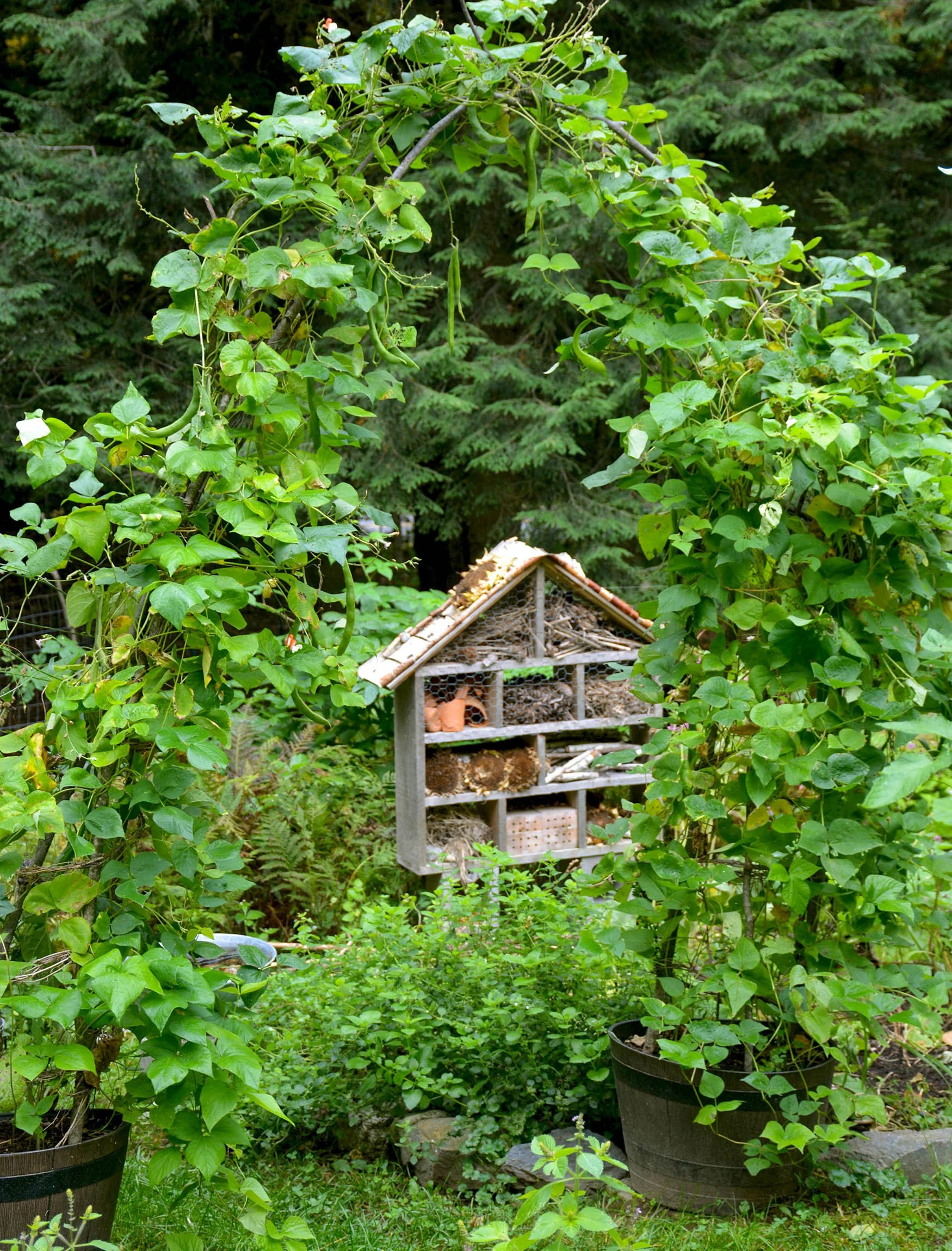 Finch + Folly — Create Your Own Wildlife Nook: A Step-by-Step Guide ...