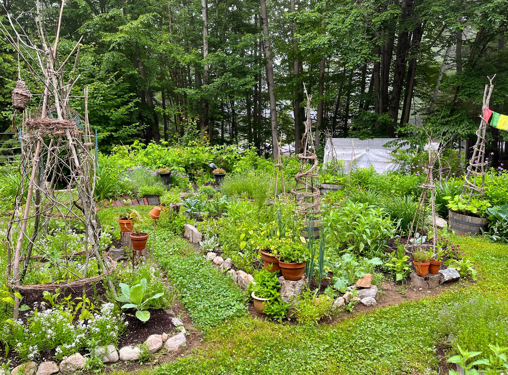 Finch + Folly — How to Build a Garden Trellis out of Branches
