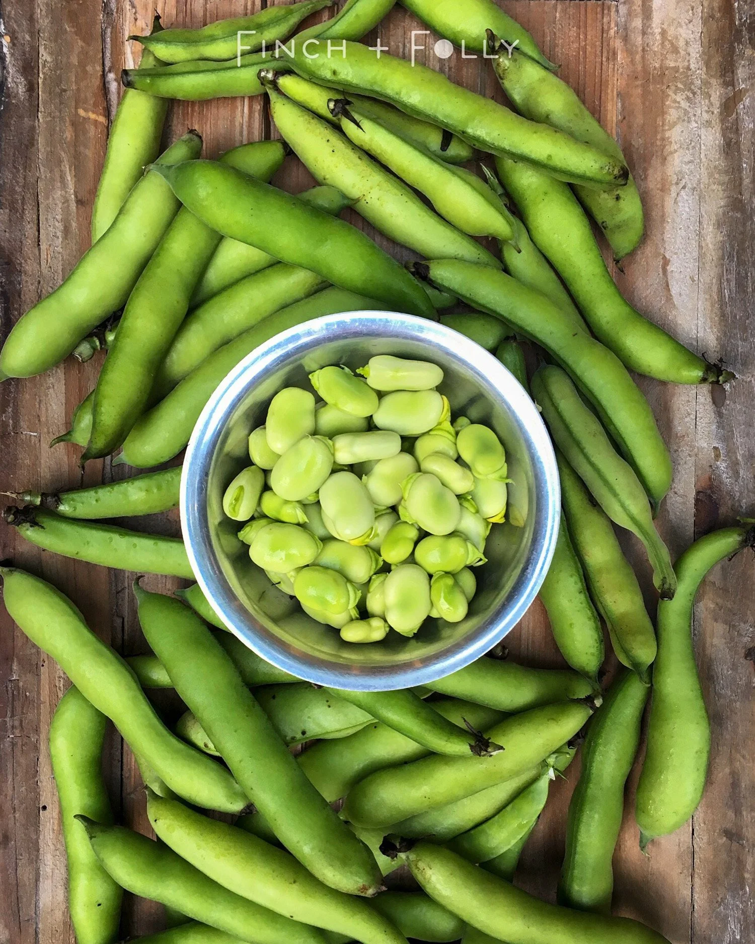 Finch + Folly — Grilled Fava Beans recipe
