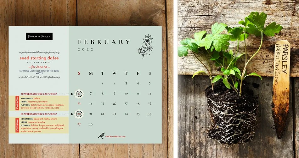 Finch Folly Seed Starting Understanding Last Frost Dates Finch Folly Seed Starting Understanding Last Frost Dates