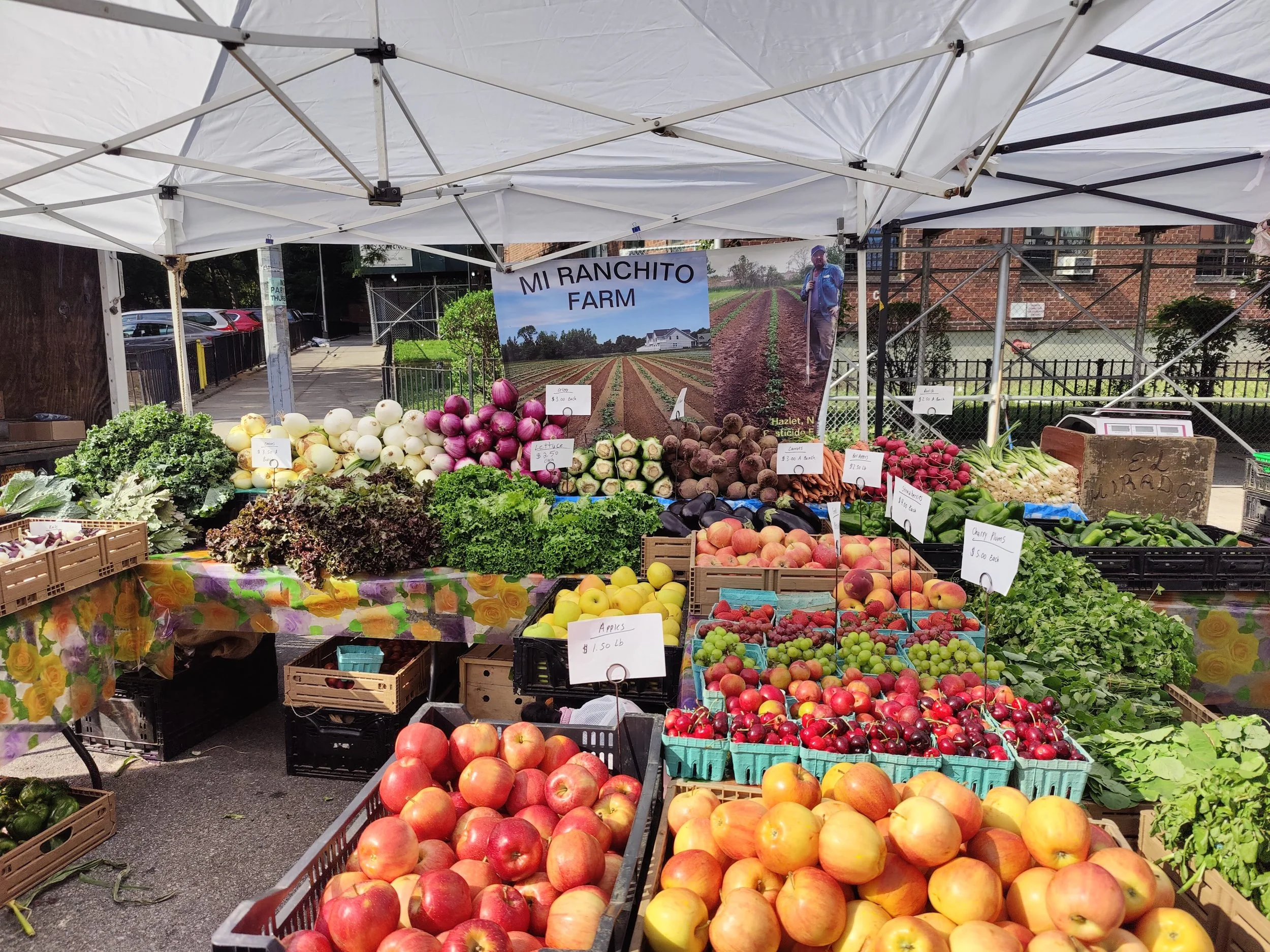 We are Back - Our Markets Are Opening — Harvest Home Farmers Markets
