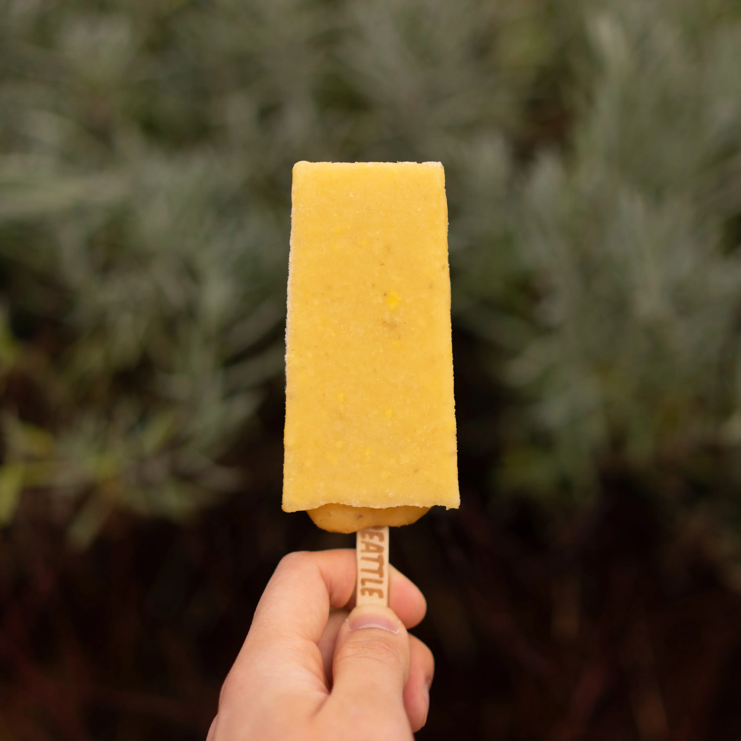 Wholesale Order — Seattle Pops