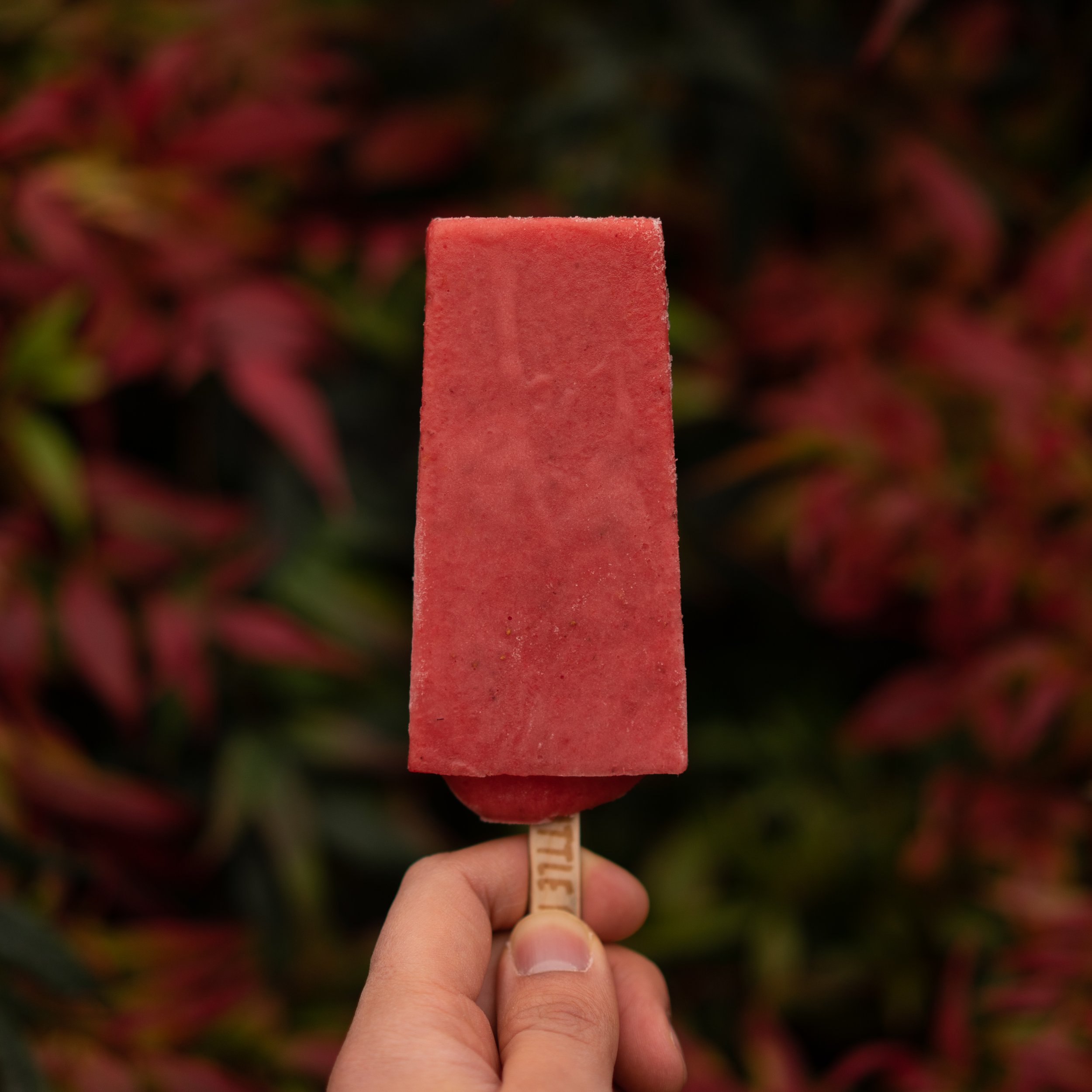 Wholesale Accounts — Seattle Pops