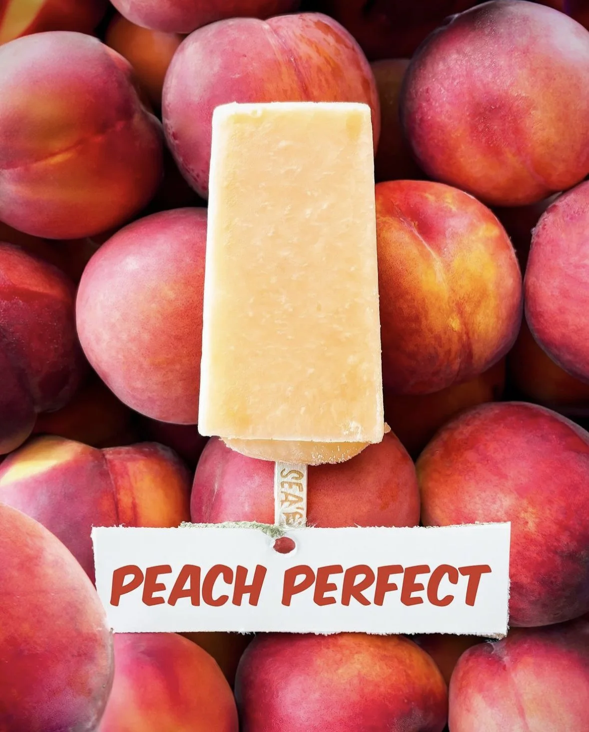 Wholesale Accounts — Seattle Pops