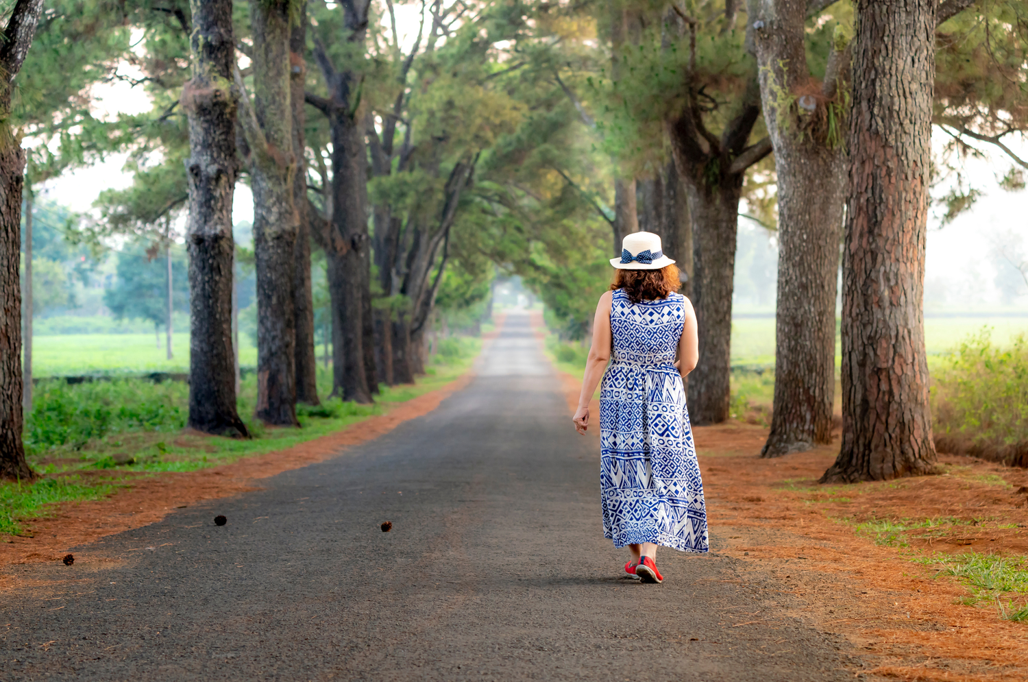 Let’s Move Forward — Matthew Chapman Ministries