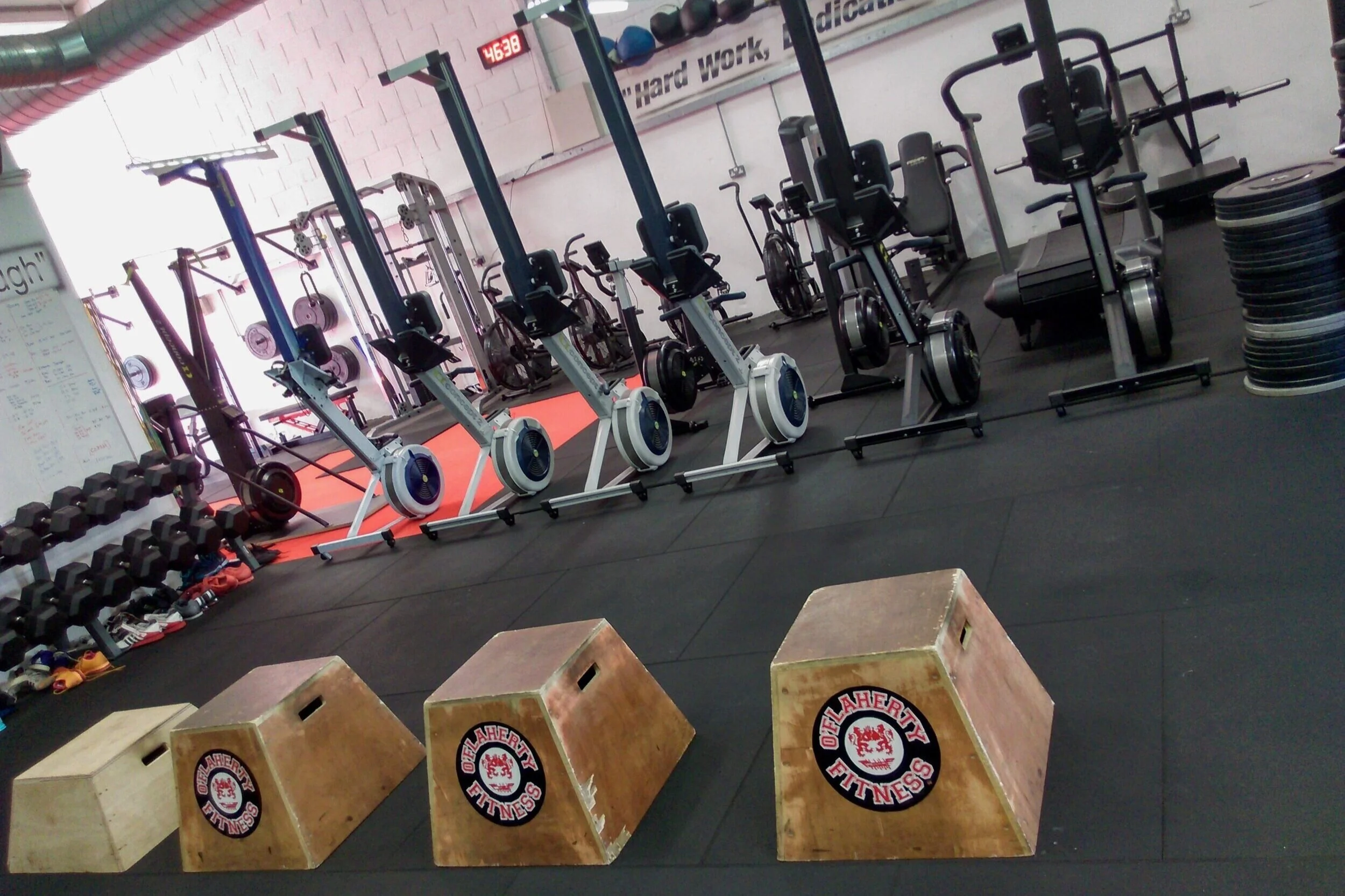 O'Flaherty Fitness and Performance
