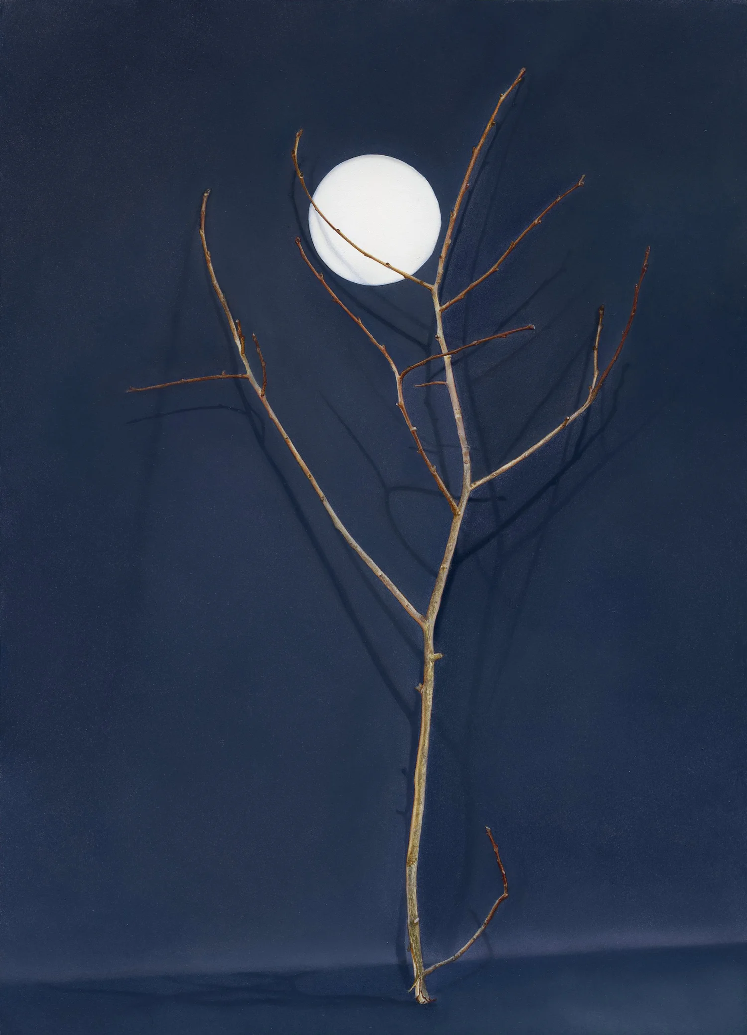 issue 4 About a painting: Tree with Cut-out Moon