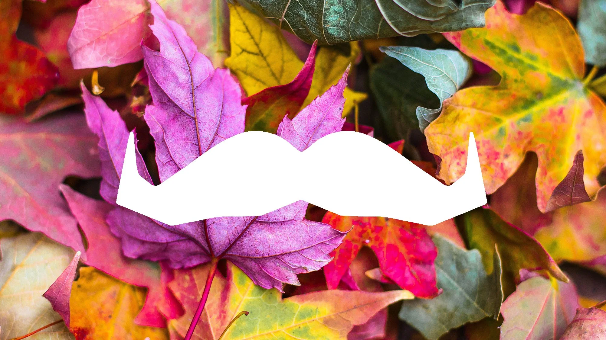 Rainbow Mustache Wallpaper