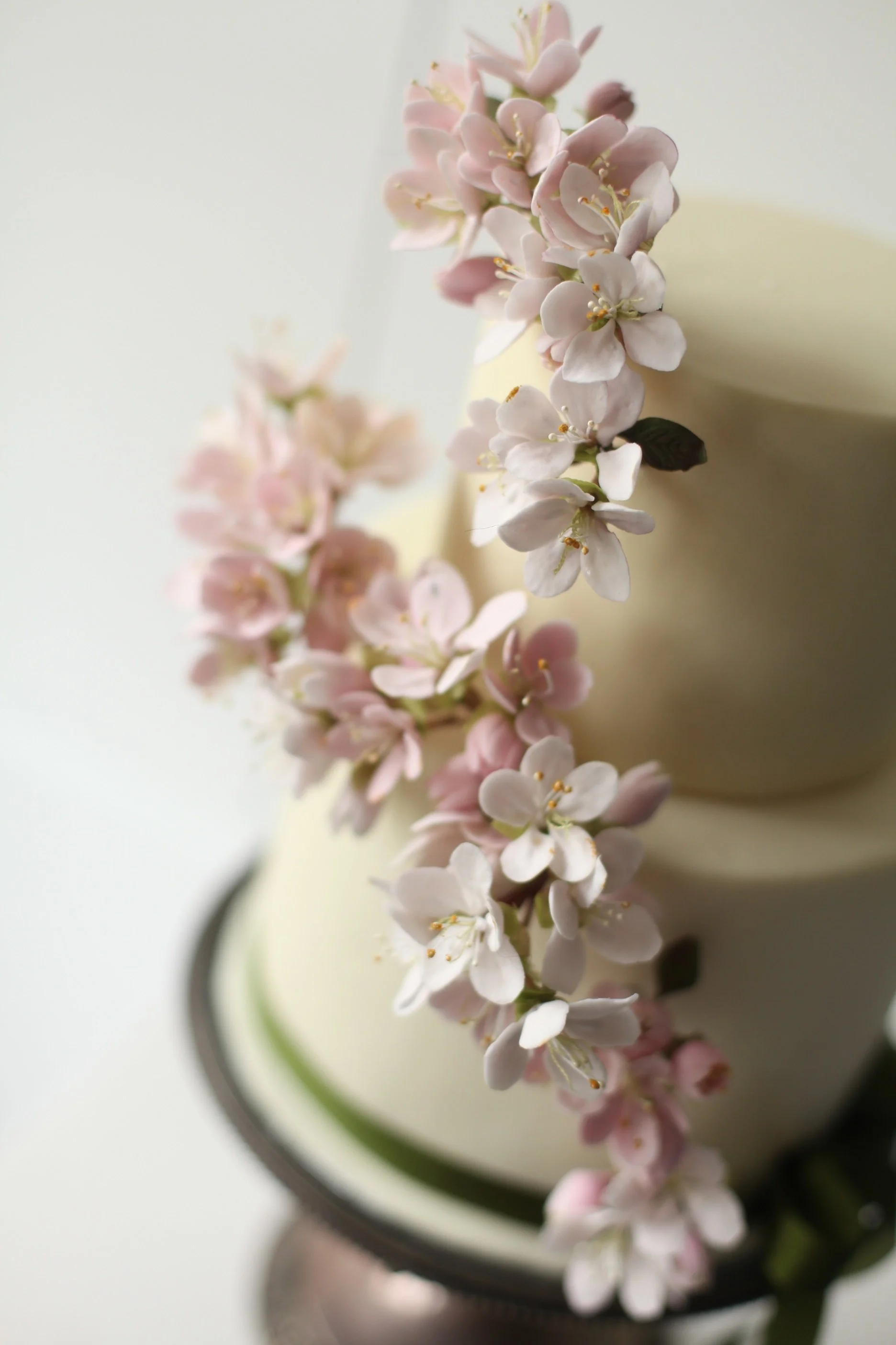 Victoria Made Cake Design victoria-made-cake-design