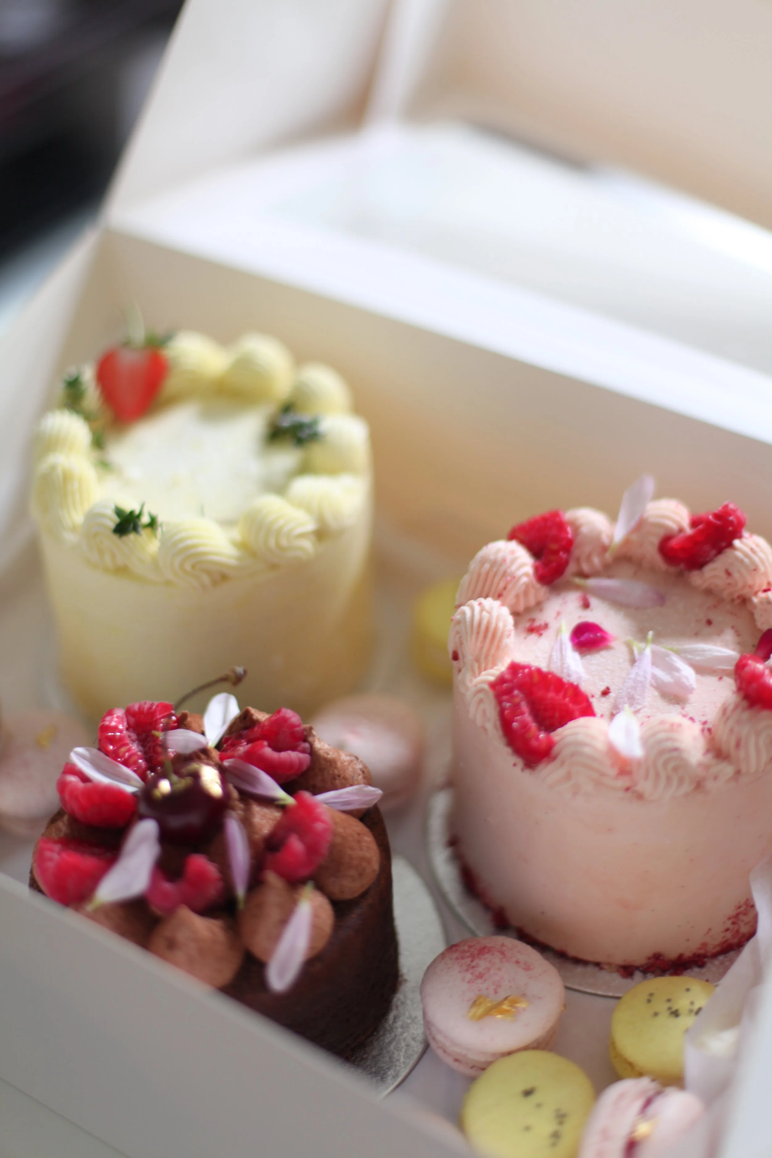 Birthday & Celebration Cakes for Delivery in Hastings, St Leonards and ...