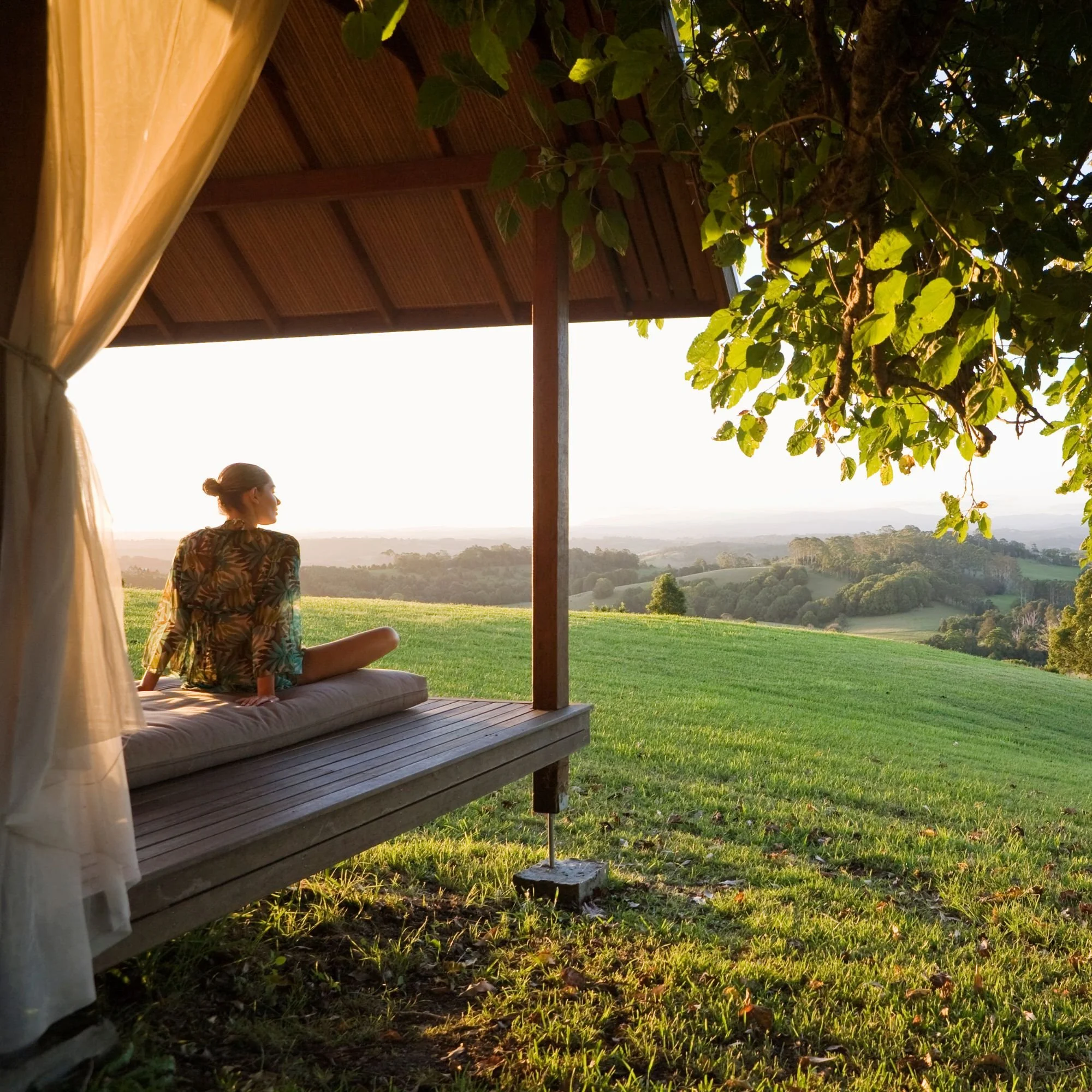 Living Wall Tips and Tricks — HomeSource Design Center