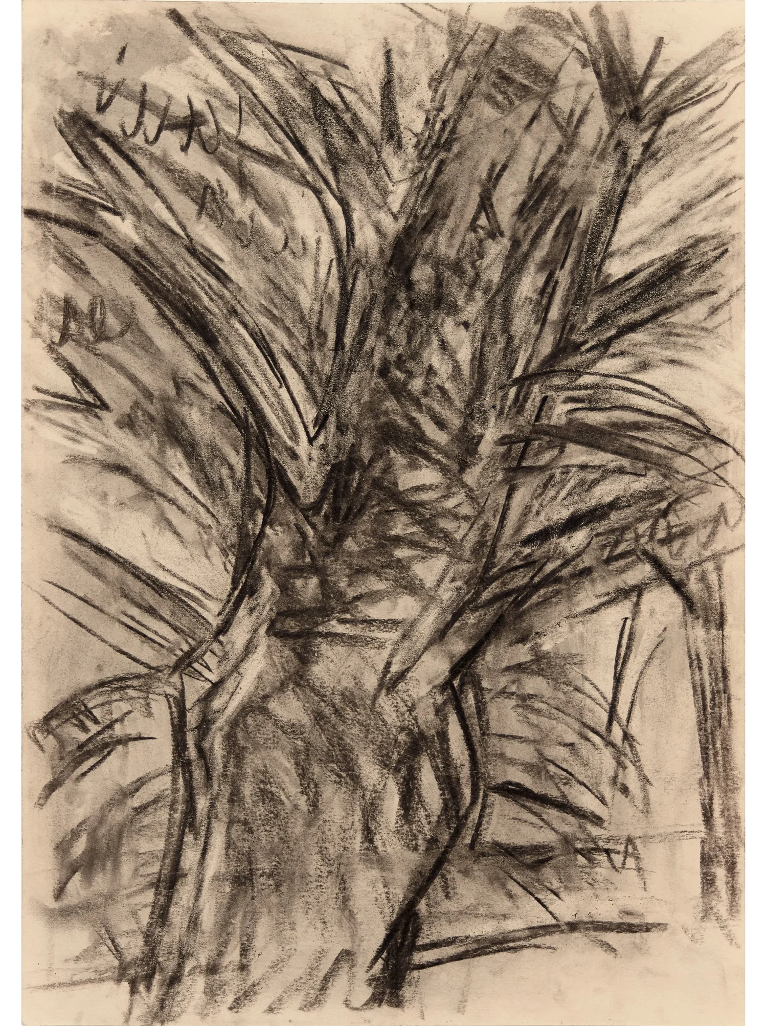 works on paper - Trees — Gael Mooney
