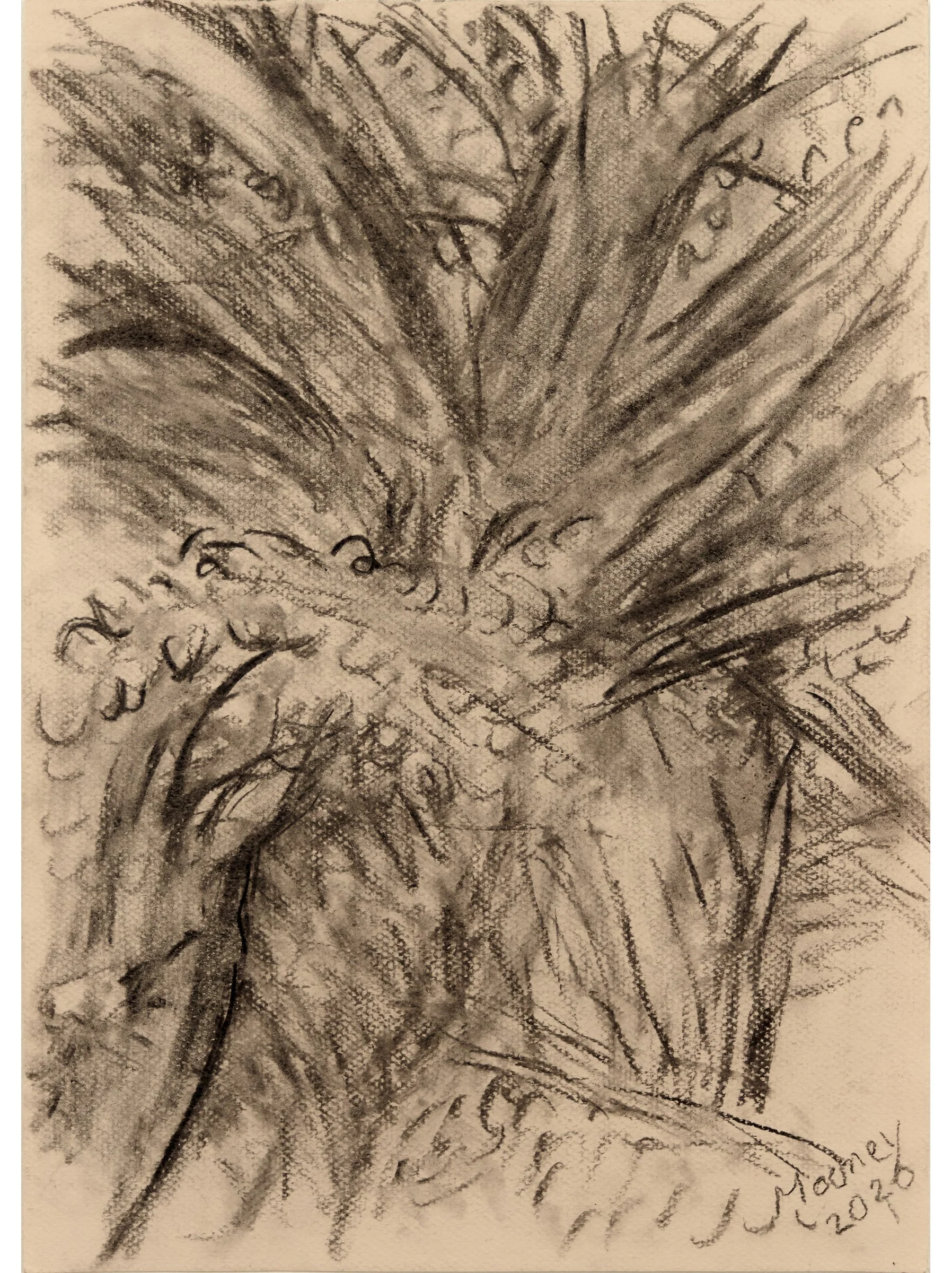 works on paper - Trees — Gael Mooney
