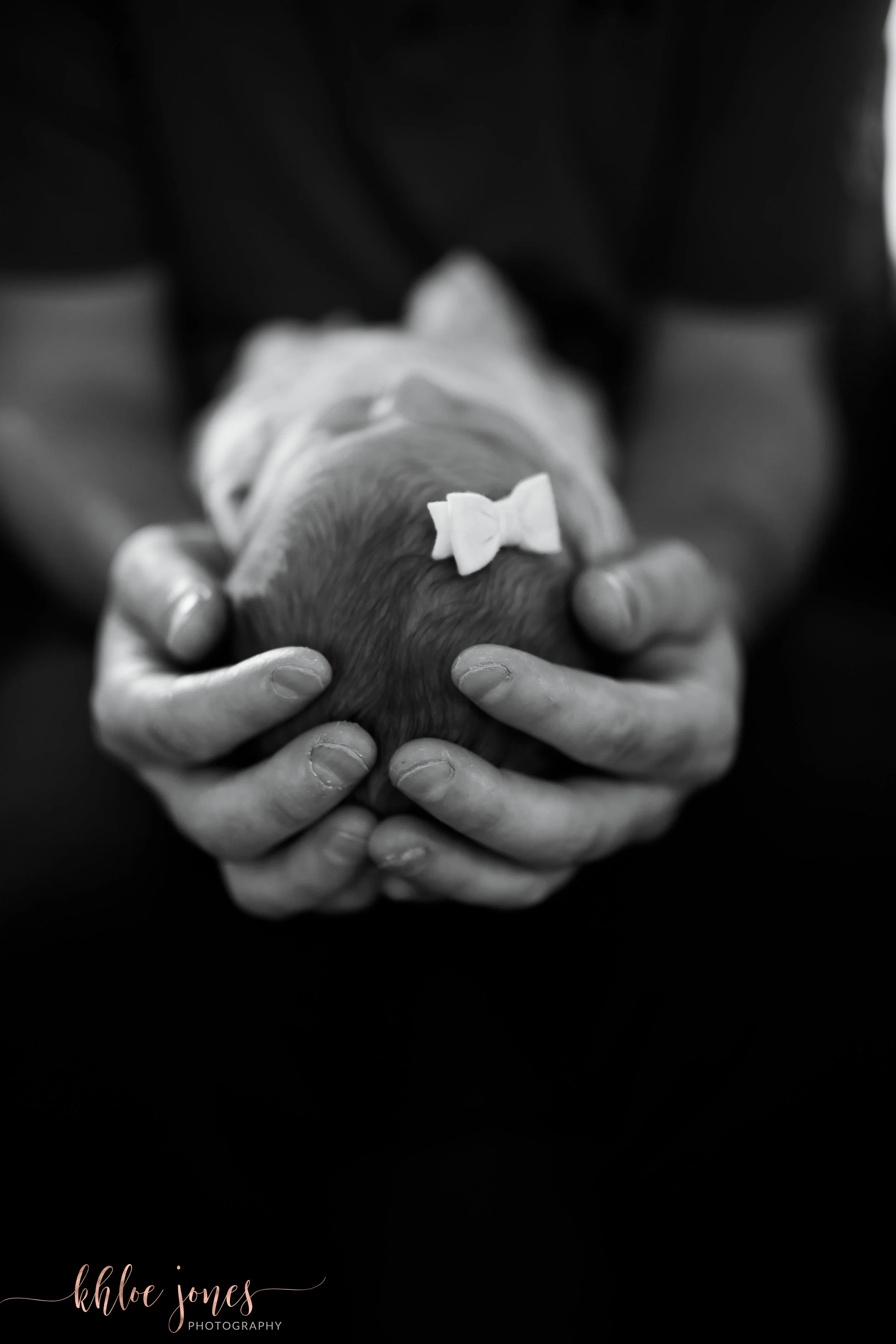 Khloe Jones Photography