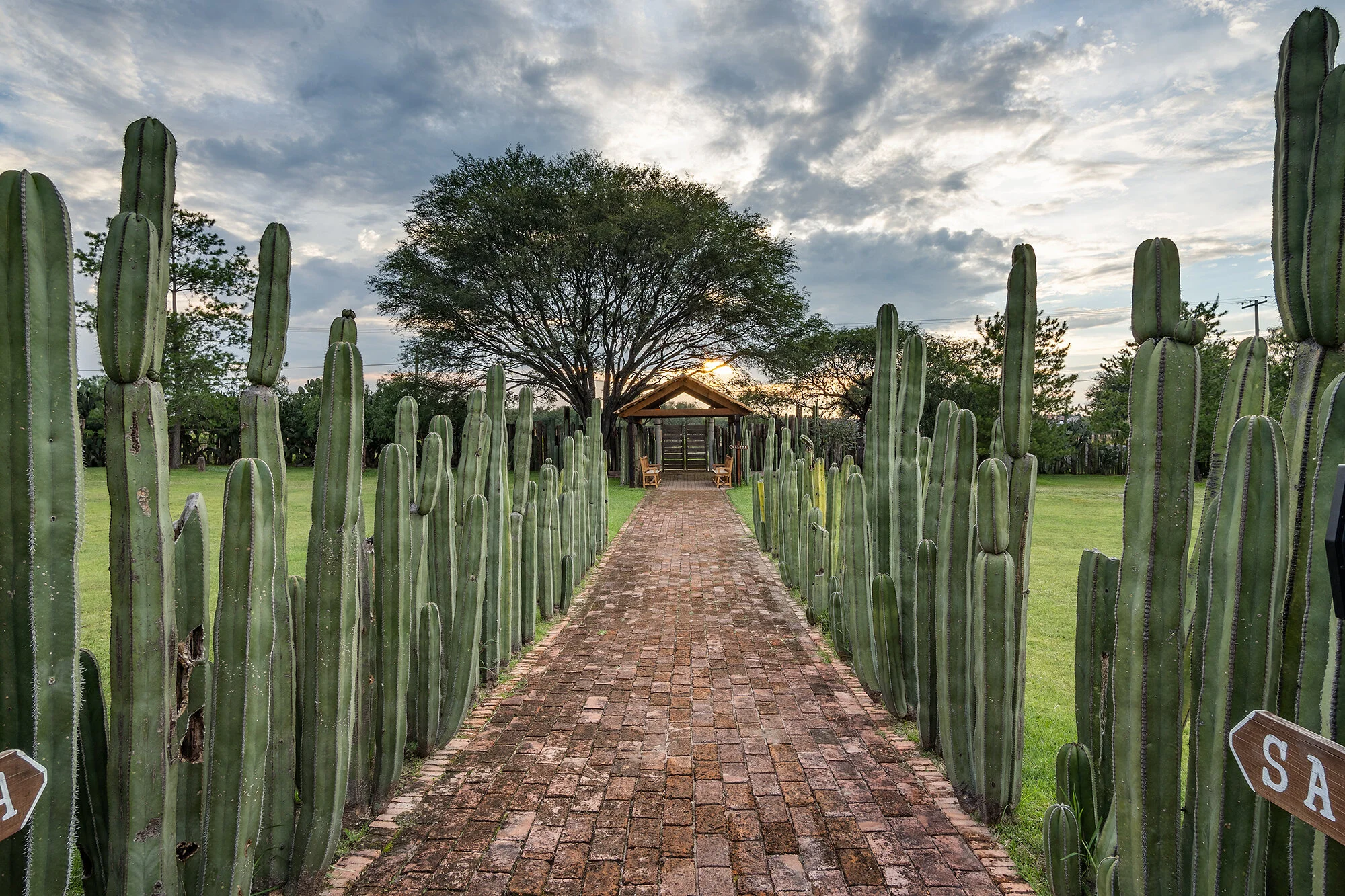 Rancho Las Sabinas