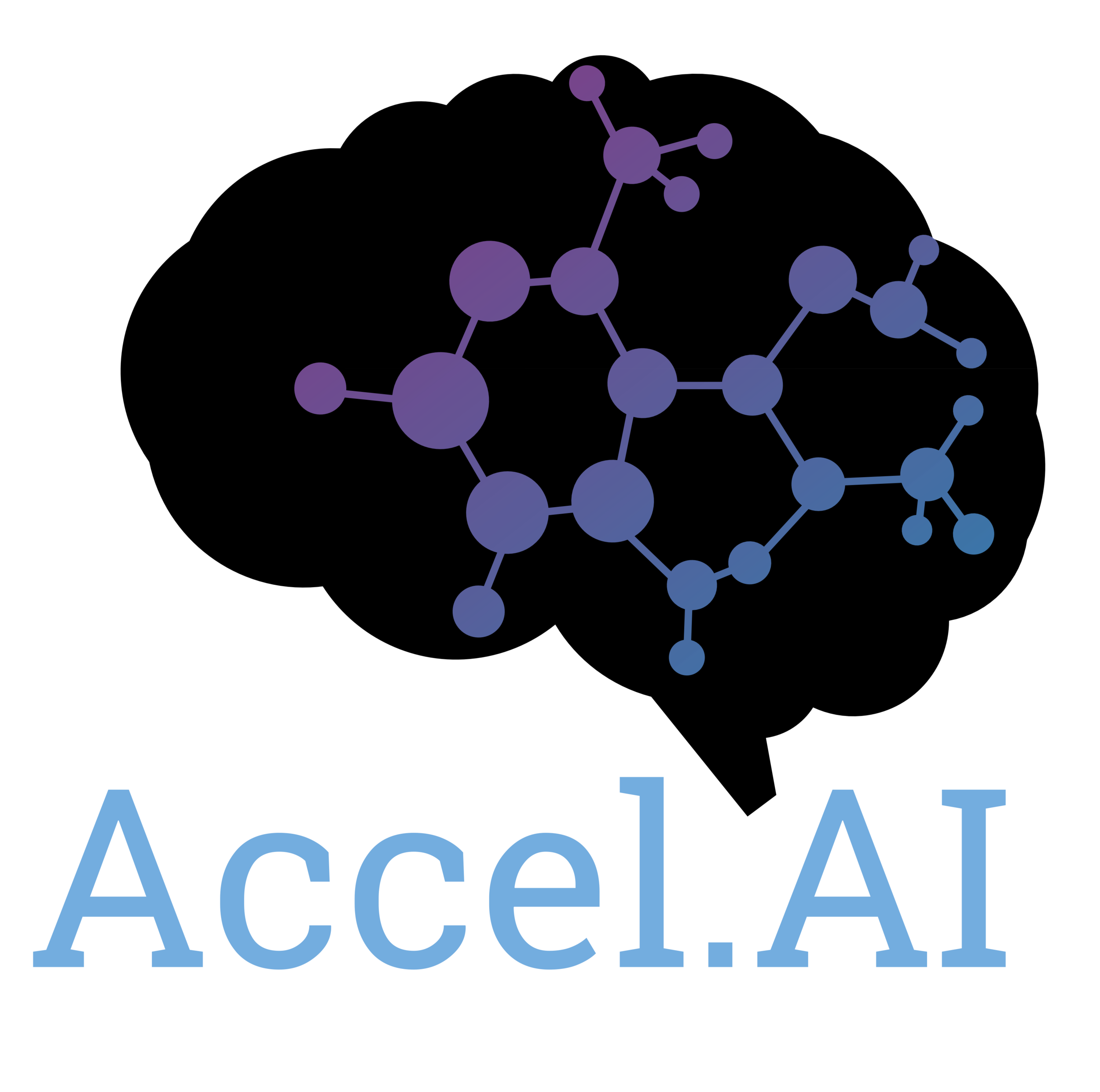 Leadership Accel Ai