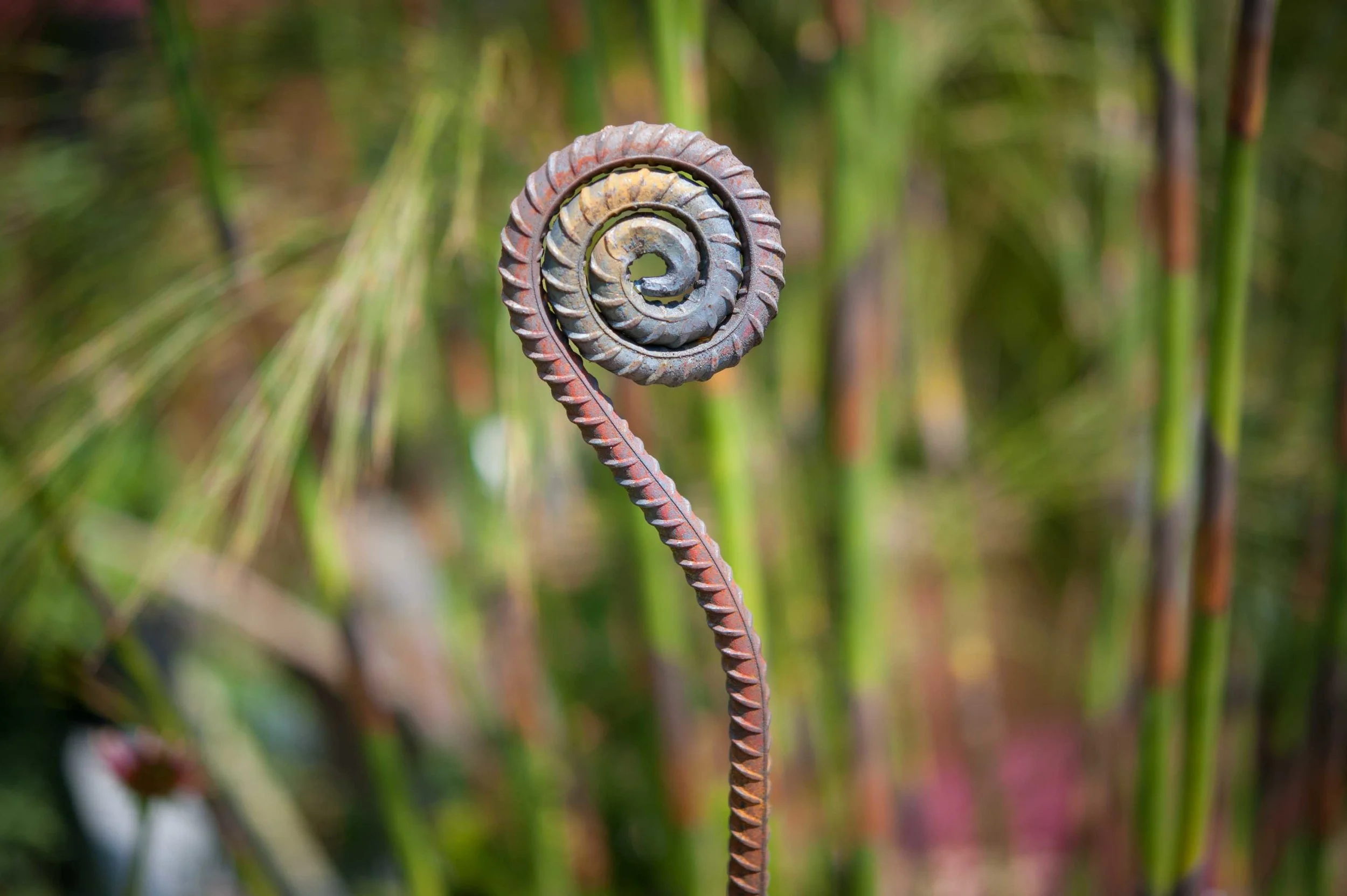 Forged Fern Frond — Mr Fox's Garden-Ferns & Leaves