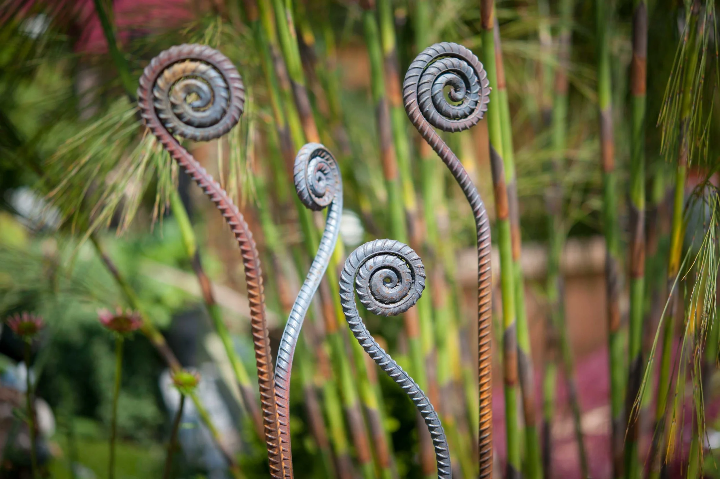 Forged Fern Frond — Mr Fox's Garden-Ferns & Leaves