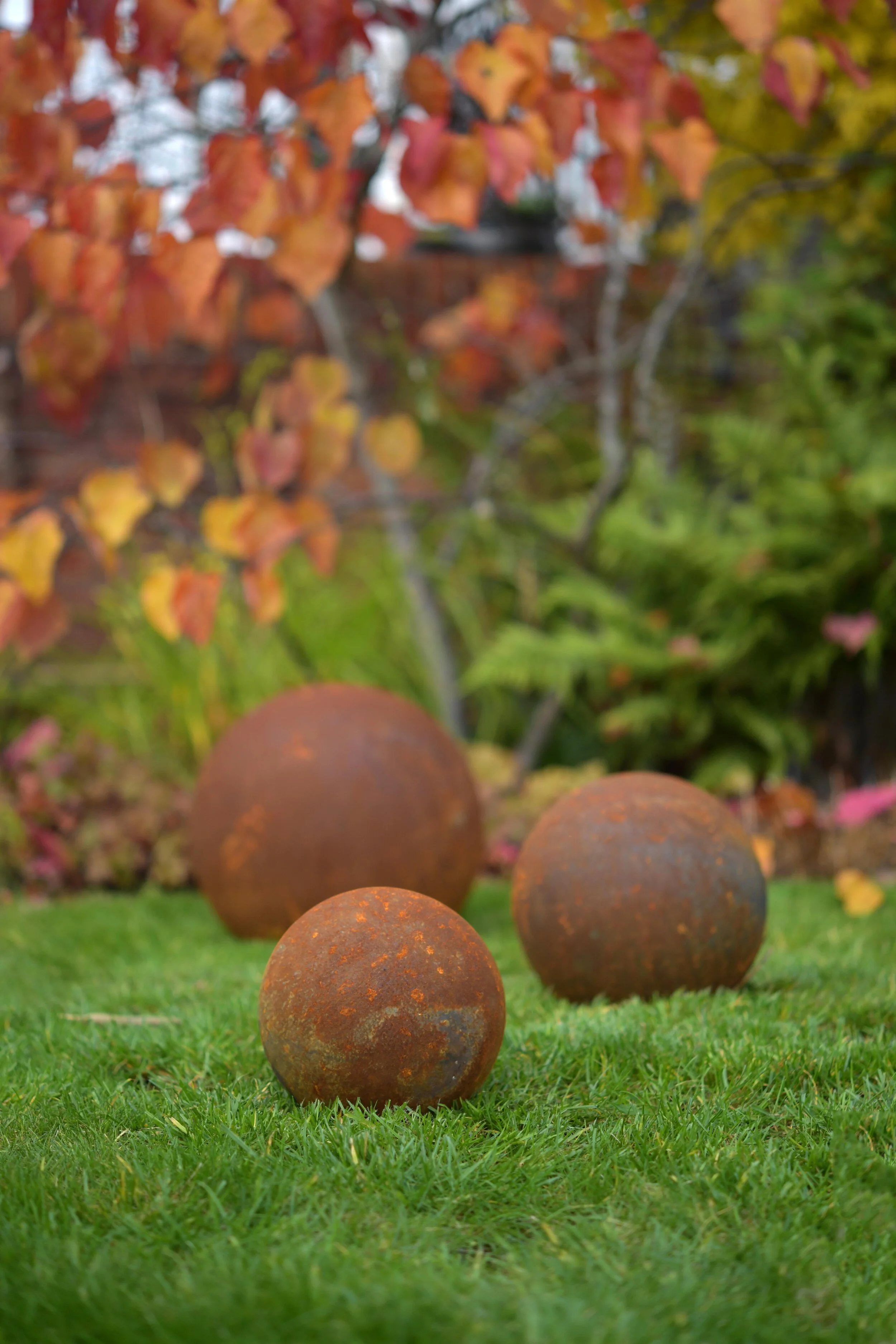 Mr Fox's Garden — Signature Designs