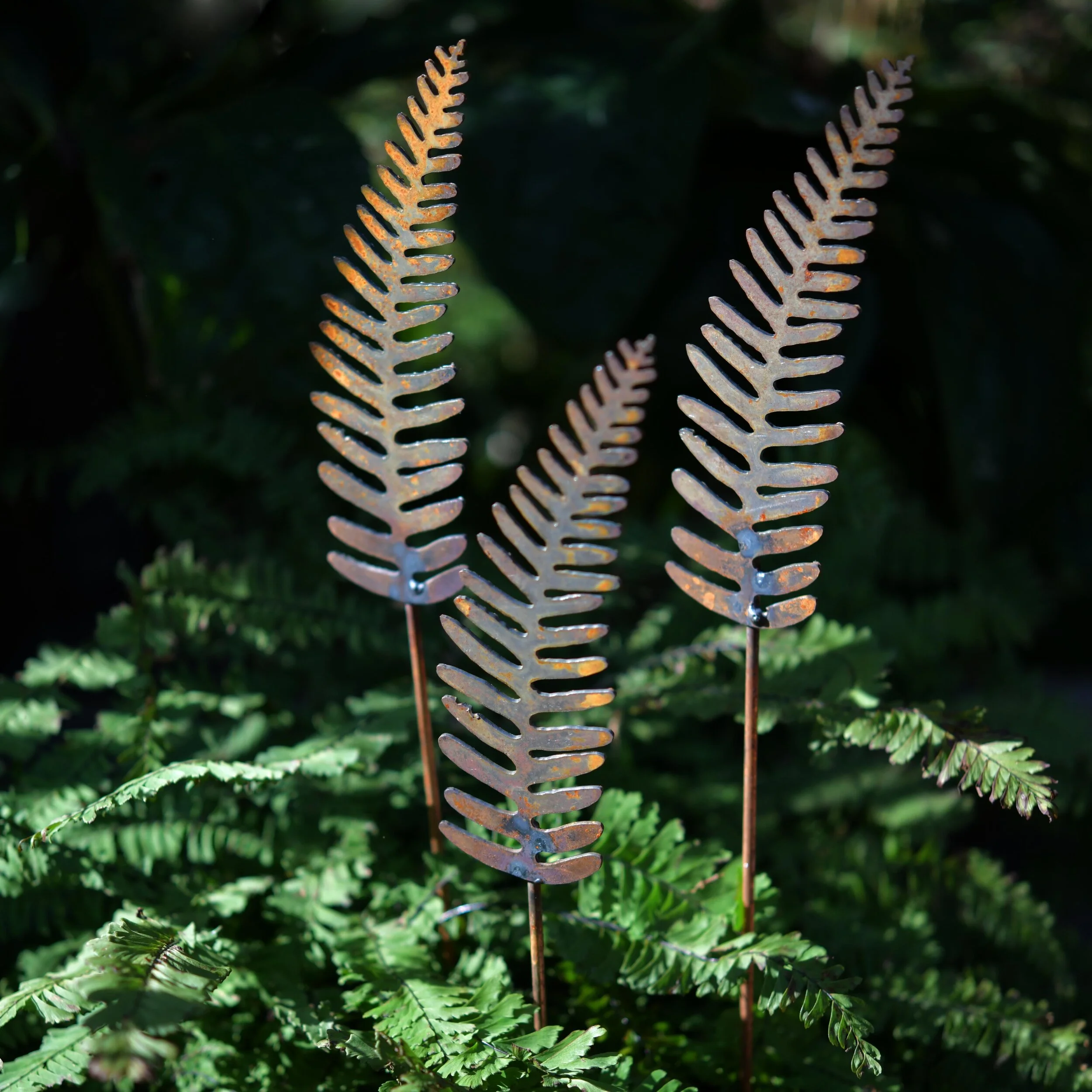 Mr Fox's Garden — Ferns & Leaves