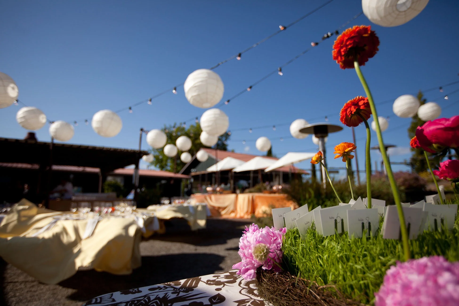 Annalisa + David's Sweet and Sunny Napa Valley Wedding — Marilyn Ambra ...