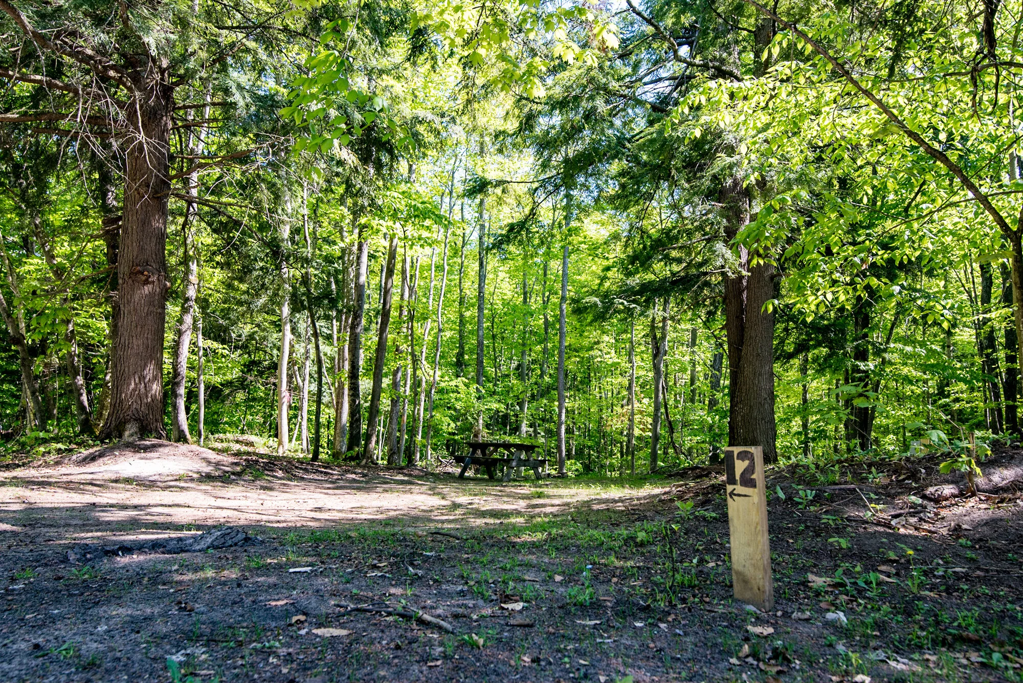 Sites Gallery — Superior Times Resort and Campground