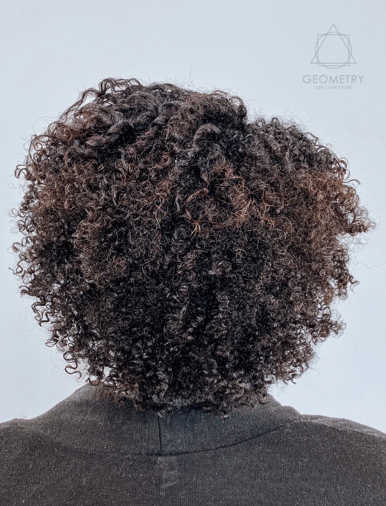 Coily & Kinky Hair Texture Portofolio — Geometry Curly Hair Studio