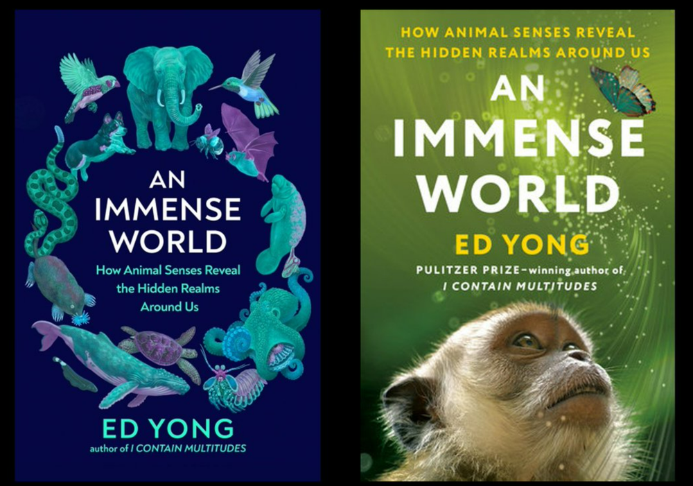 An Immense World — Ed Yong