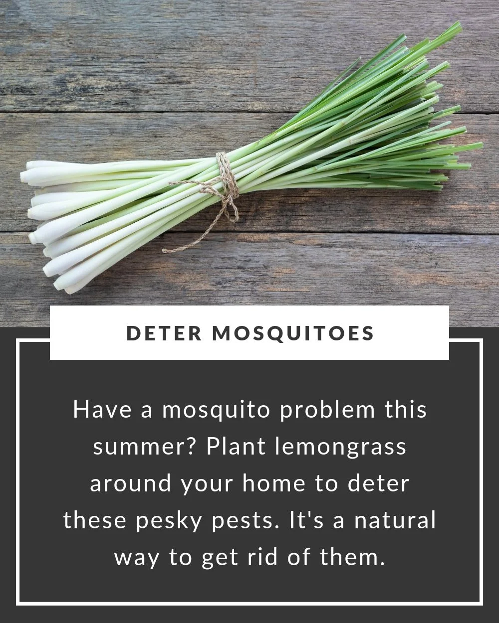 Weekend Tips — Ladies of Real Estate