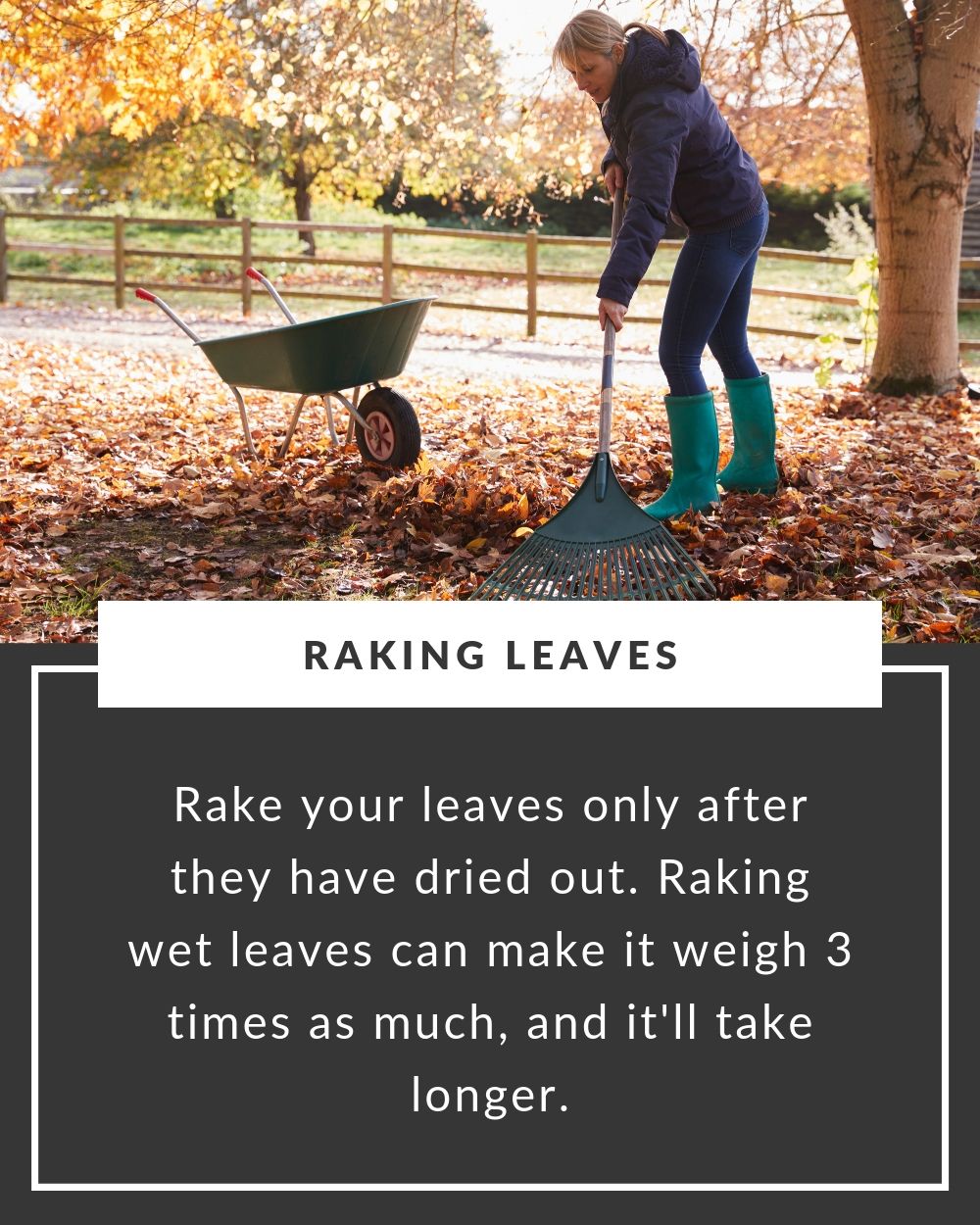 Weekend Tips — Ladies of Real Estate