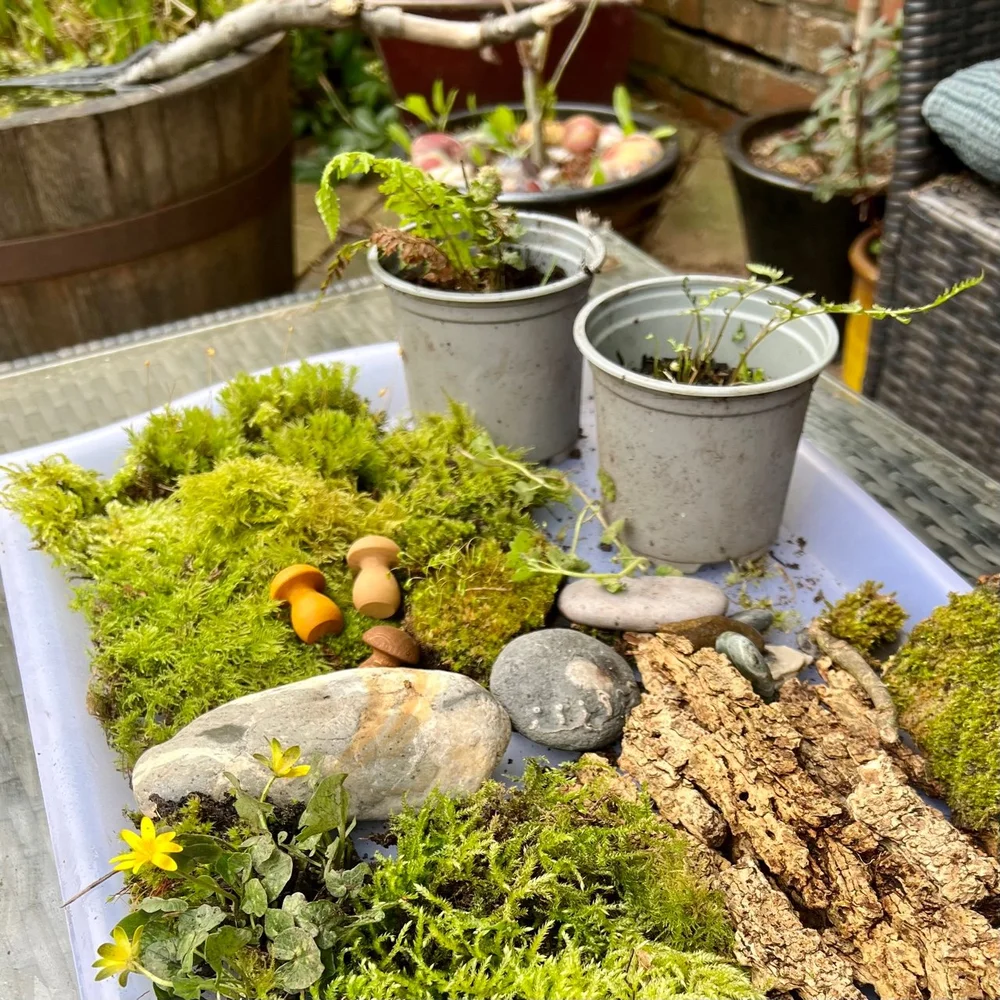 Make a miniature woodland garden - Mud & Bloom