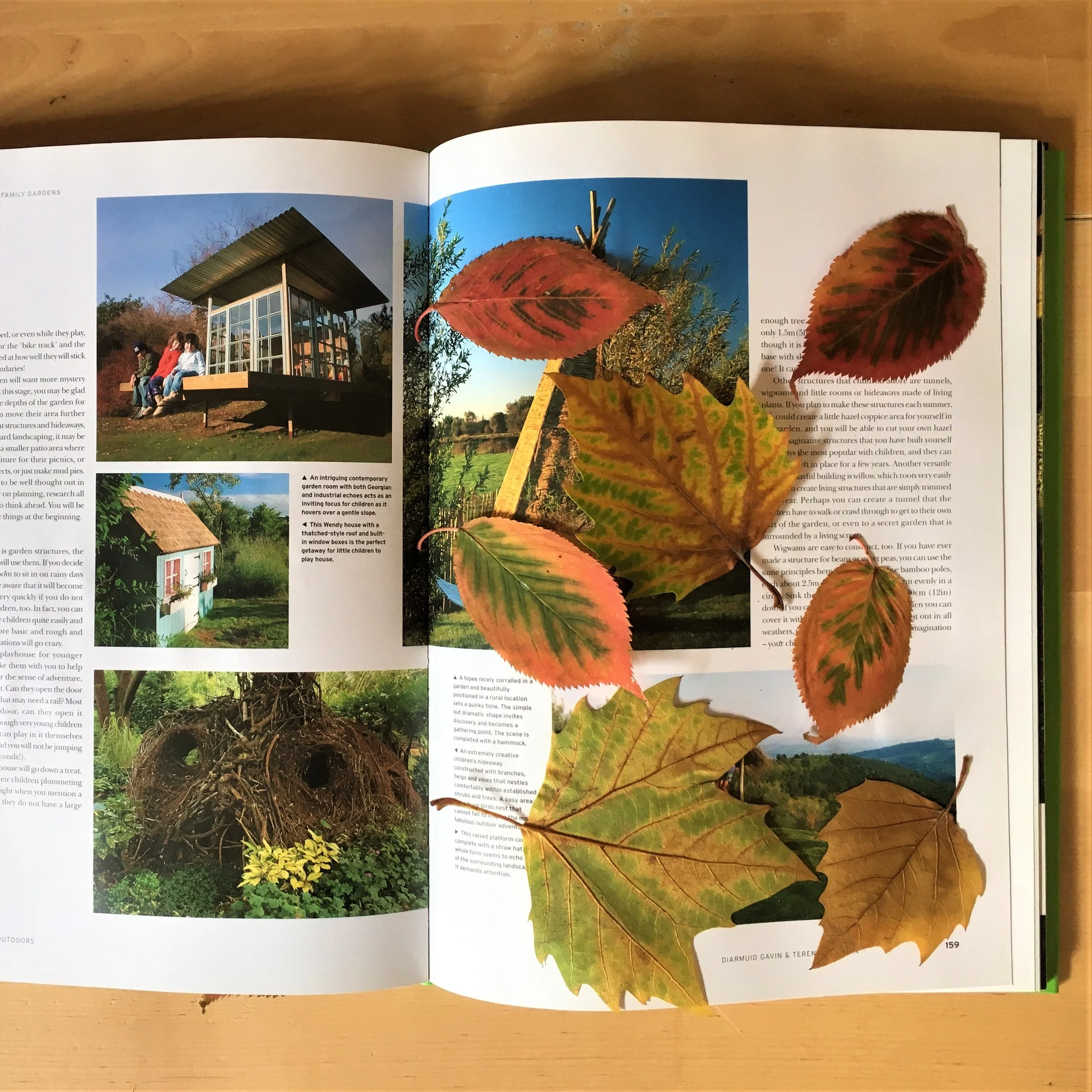 Make an autumn leaf bowl - Mud & Bloom